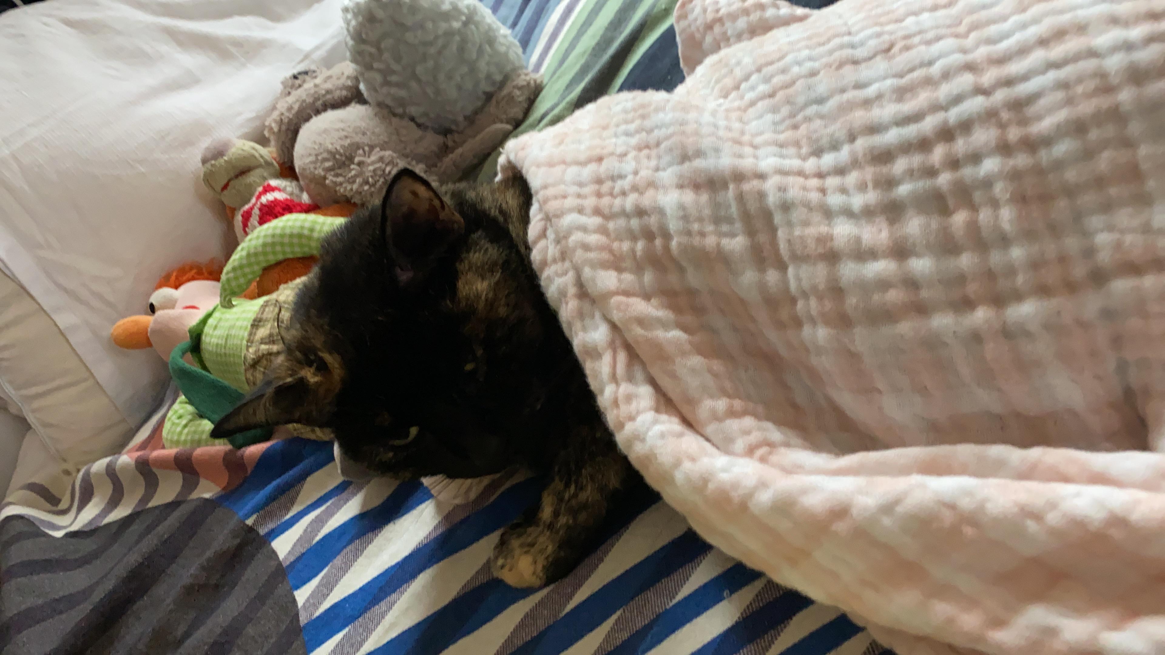 She looks so comfy | Scrolller