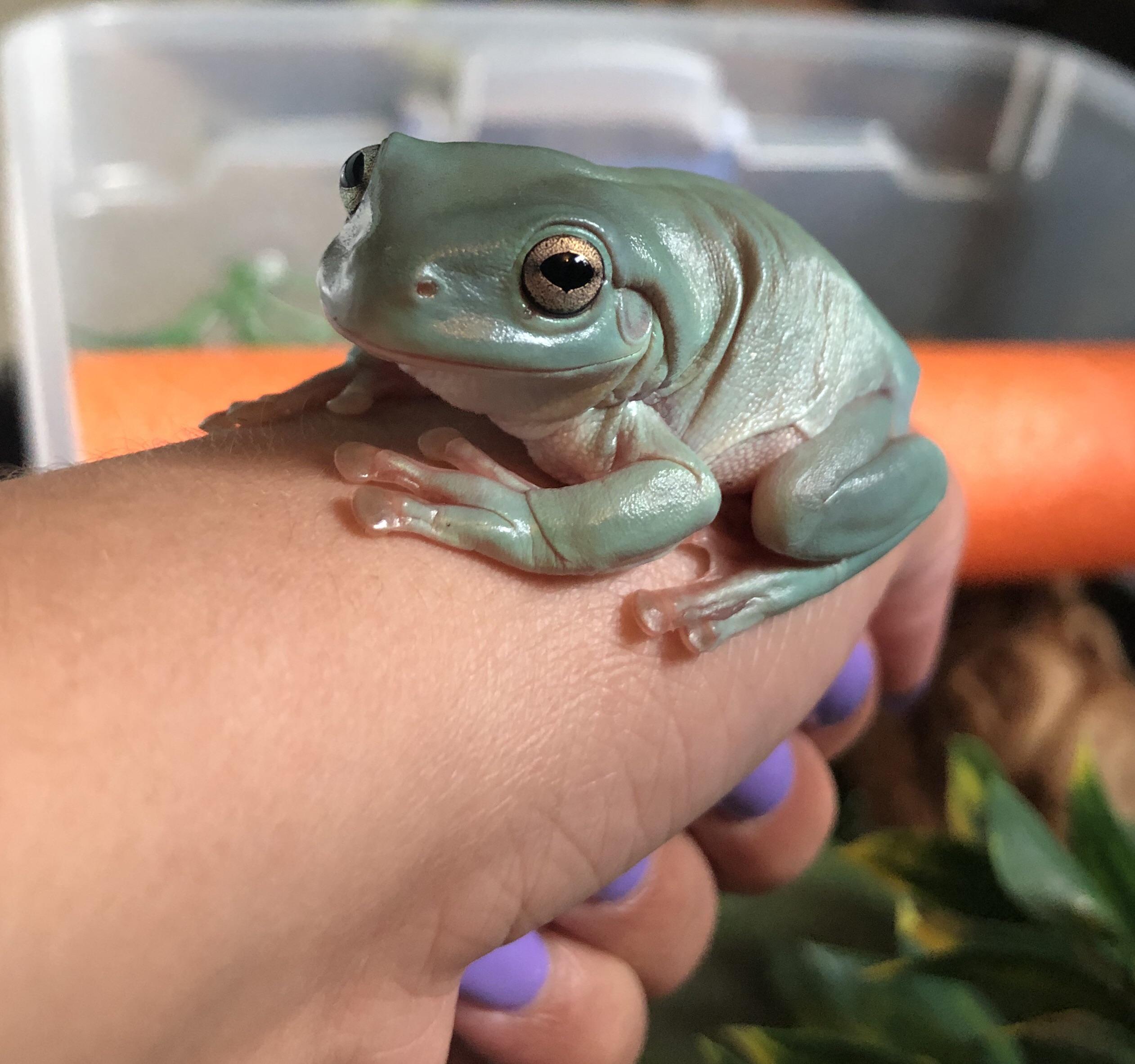 She looks so polite | Scrolller