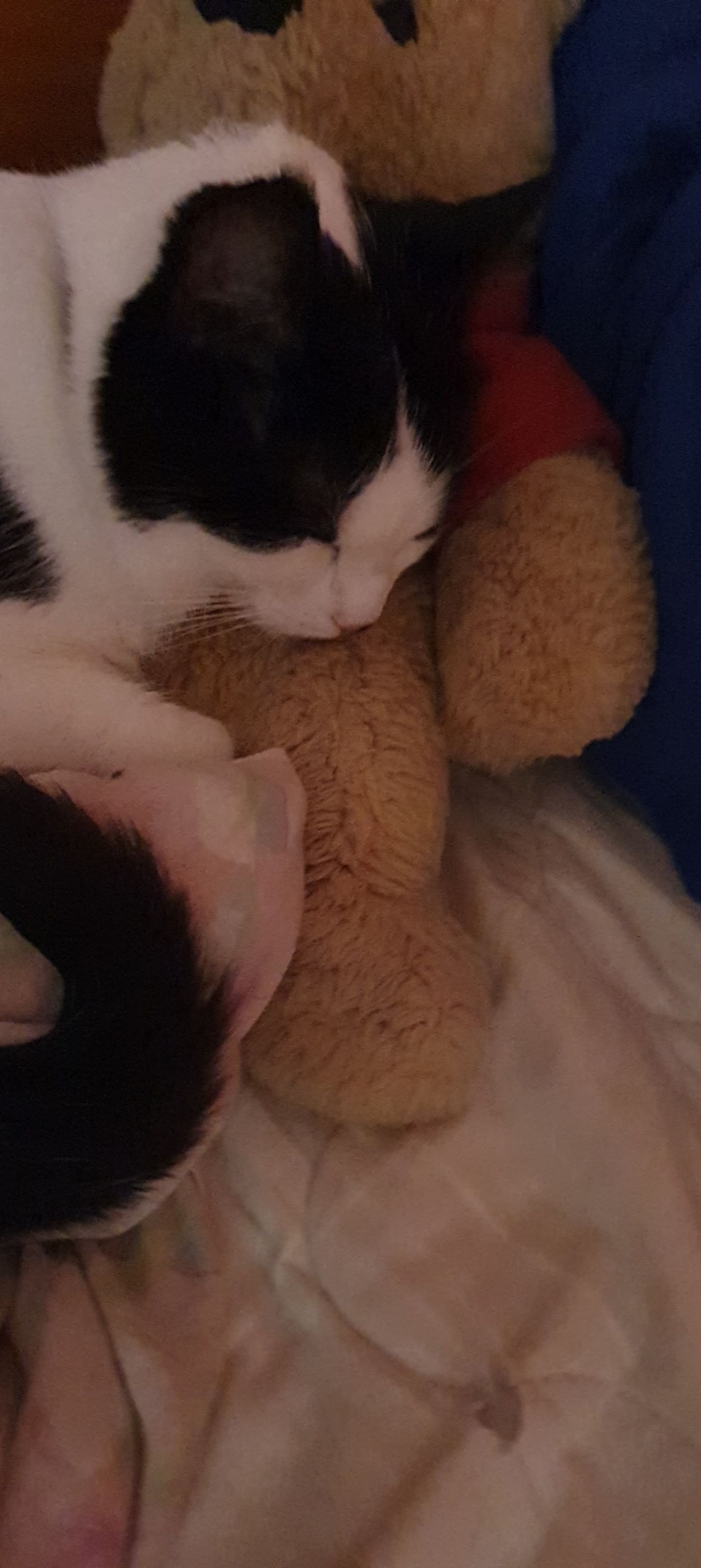 She loves Pooh Bear | Scrolller