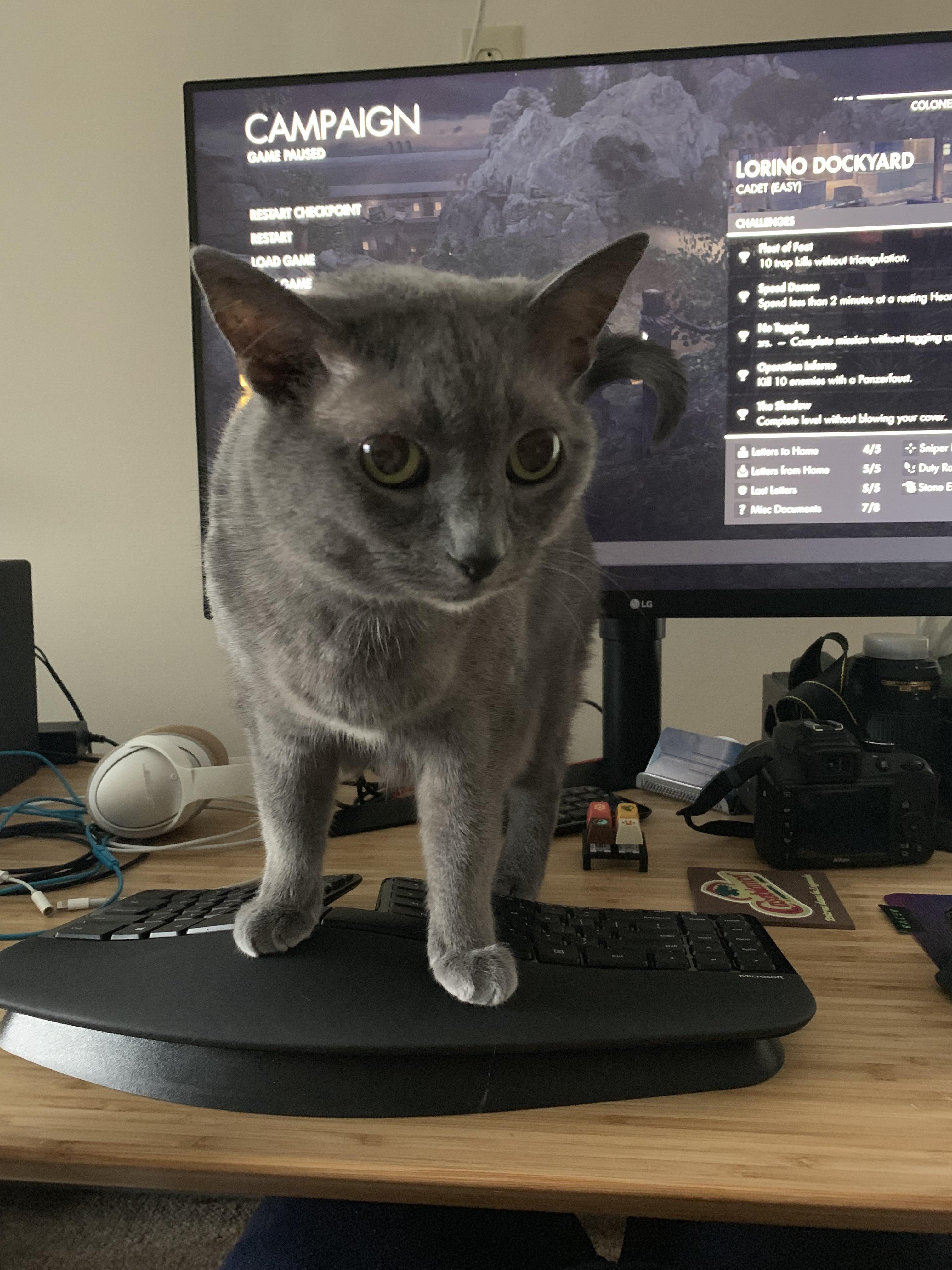 She loves to get right up in my face | Scrolller