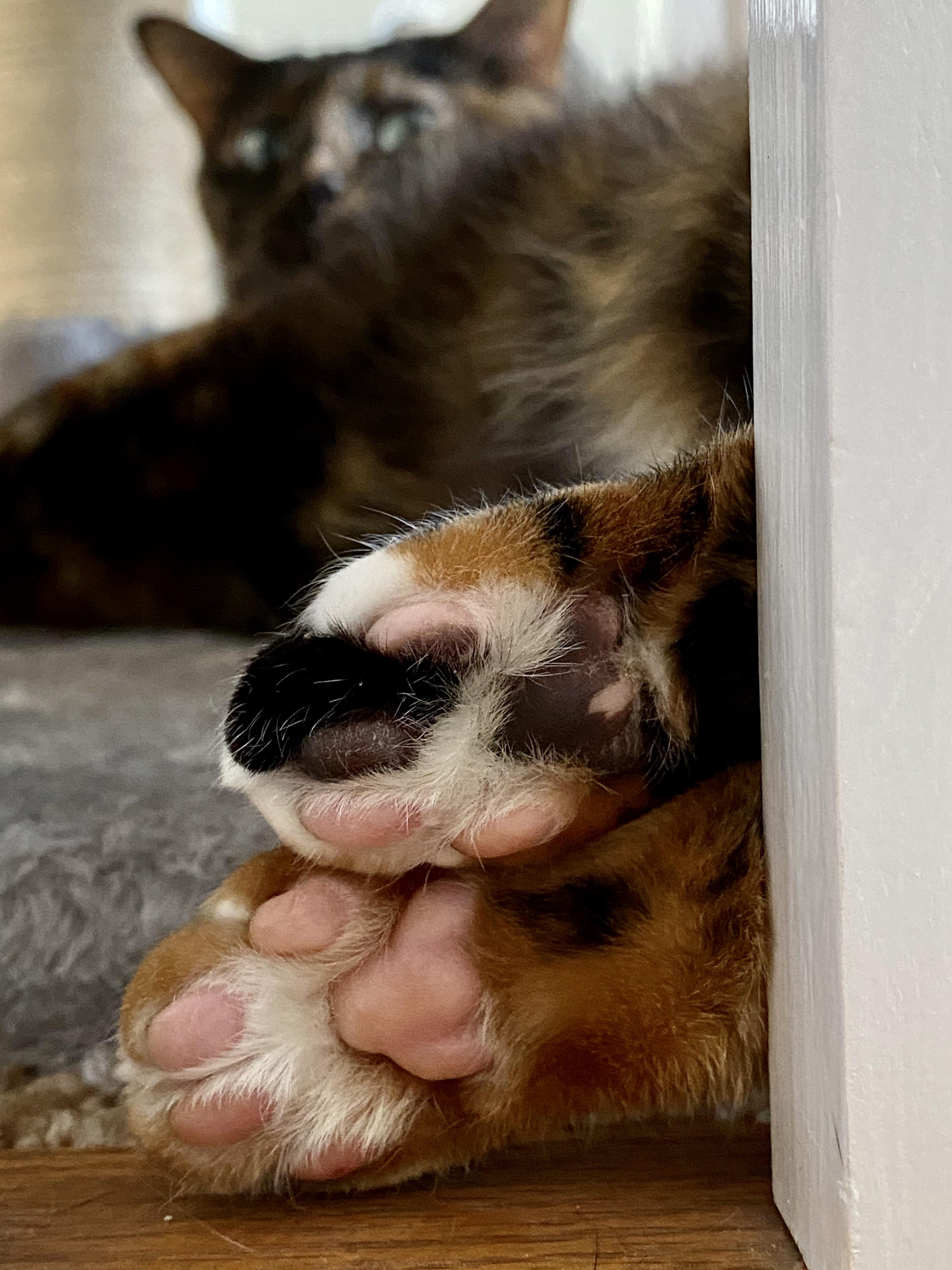 She posed for this subreddit | Scrolller