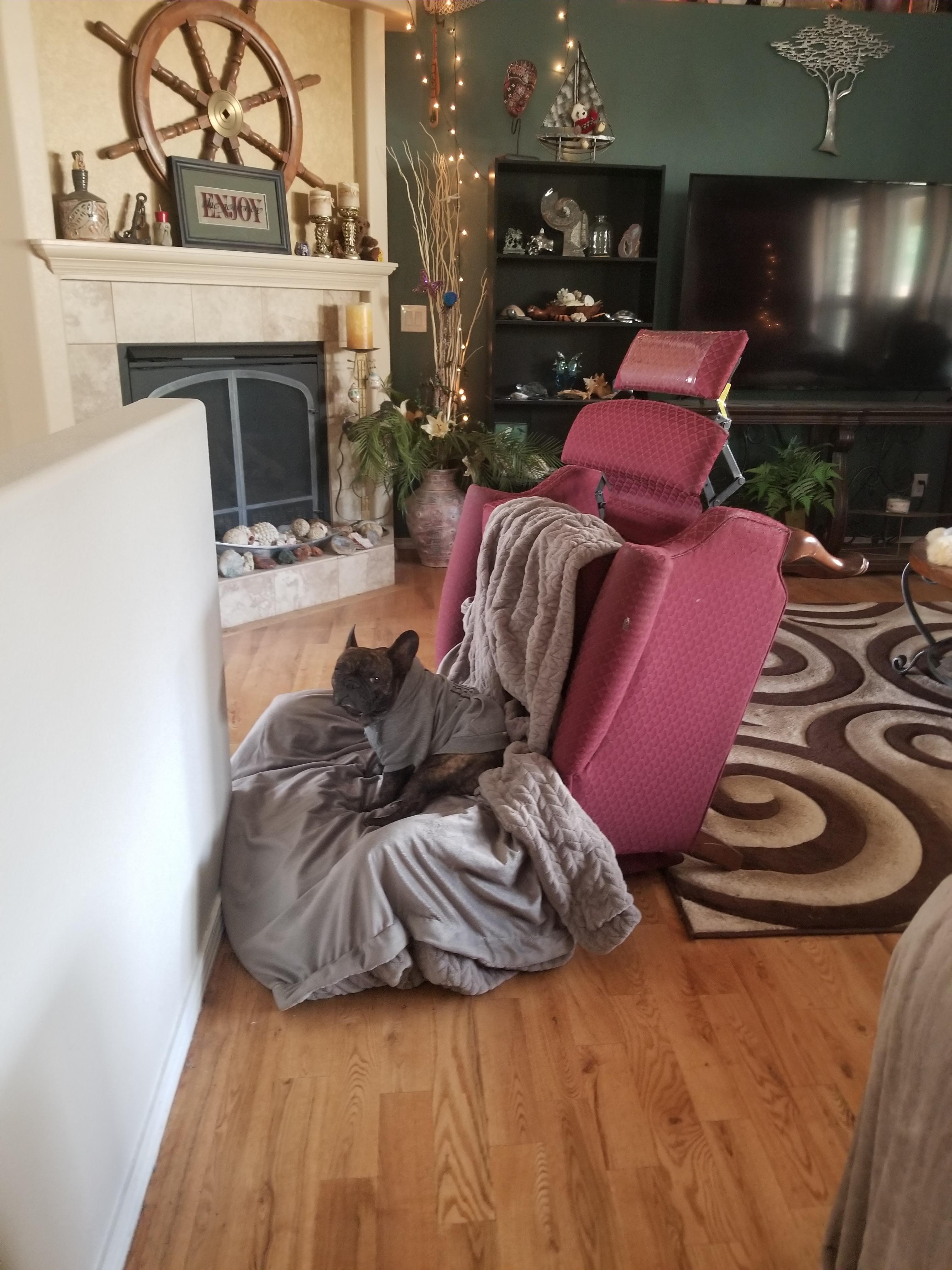 She really doesn't care what you think | Scrolller