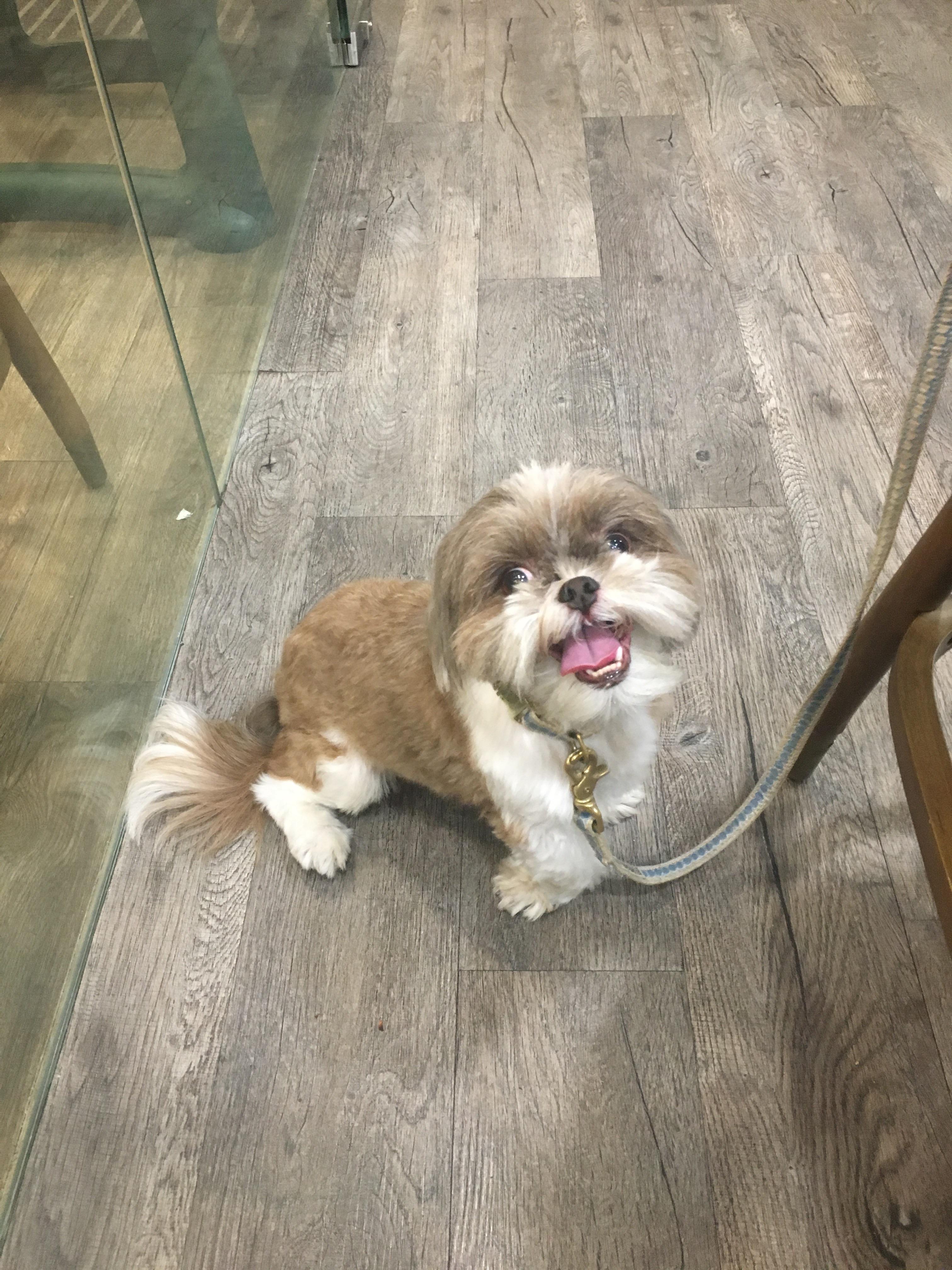 She’s having a blast! | Scrolller