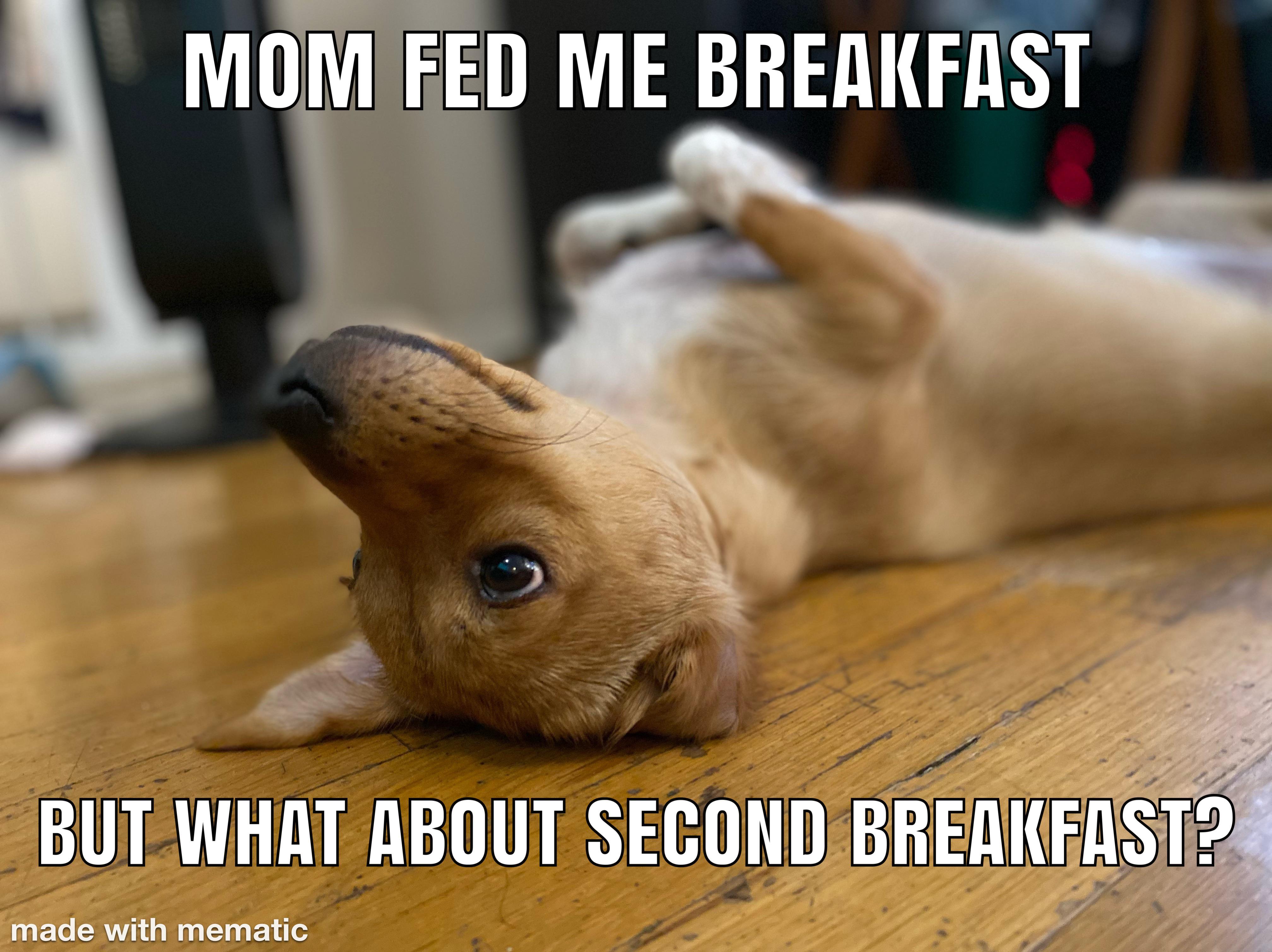 She’s having a revelation | Scrolller