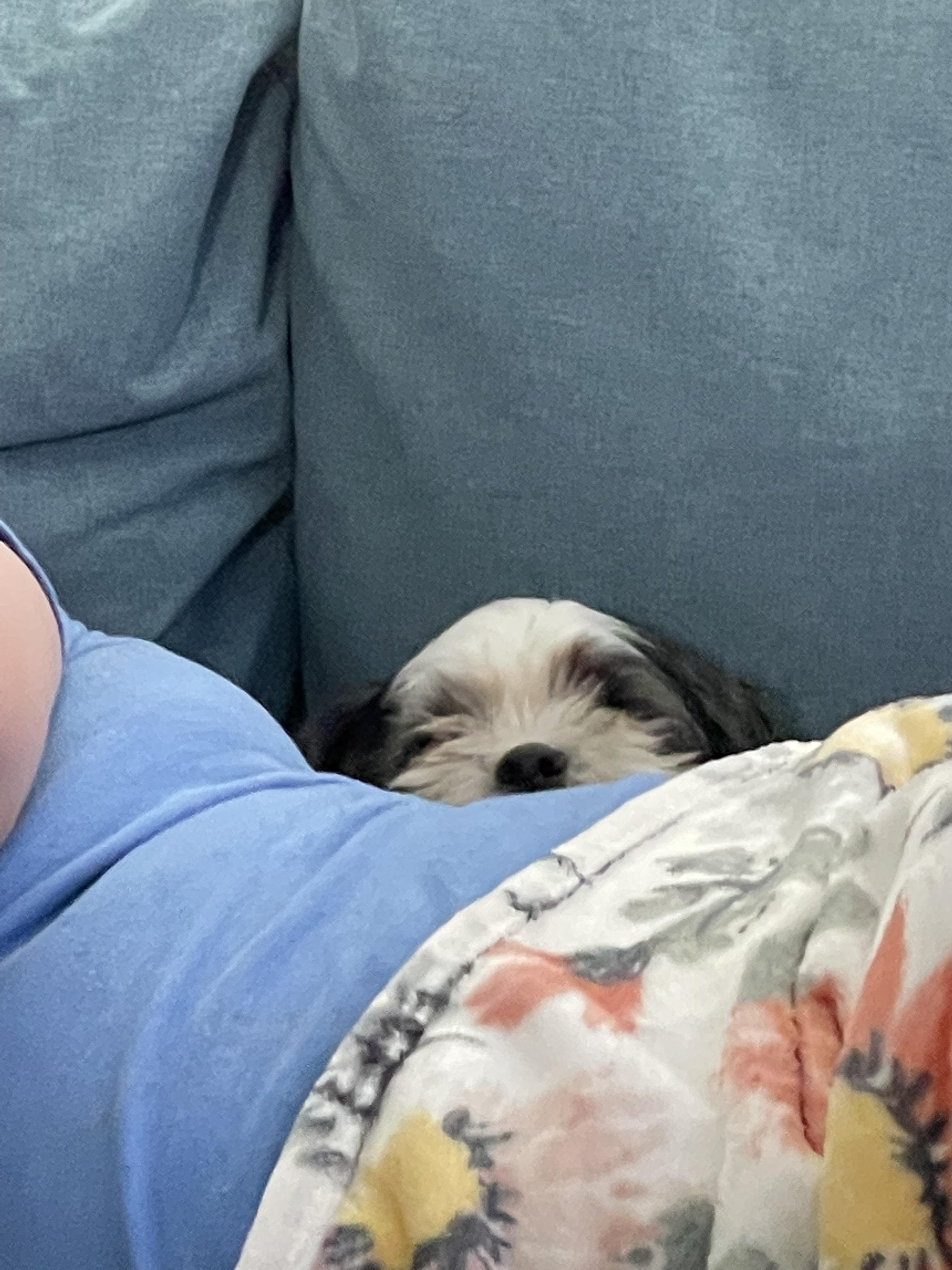 She’s hiding | Scrolller