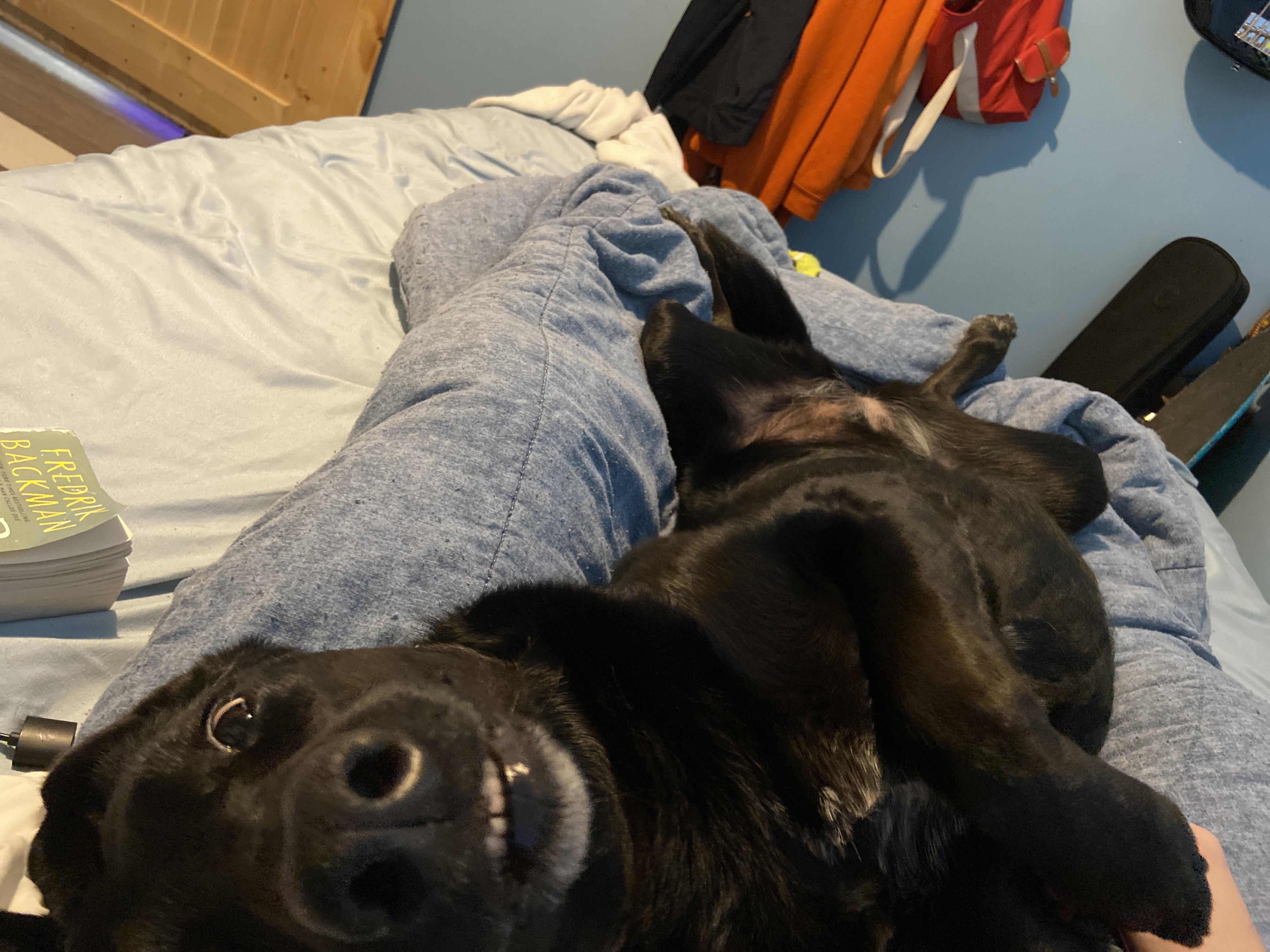 She’s looking quite comfy | Scrolller