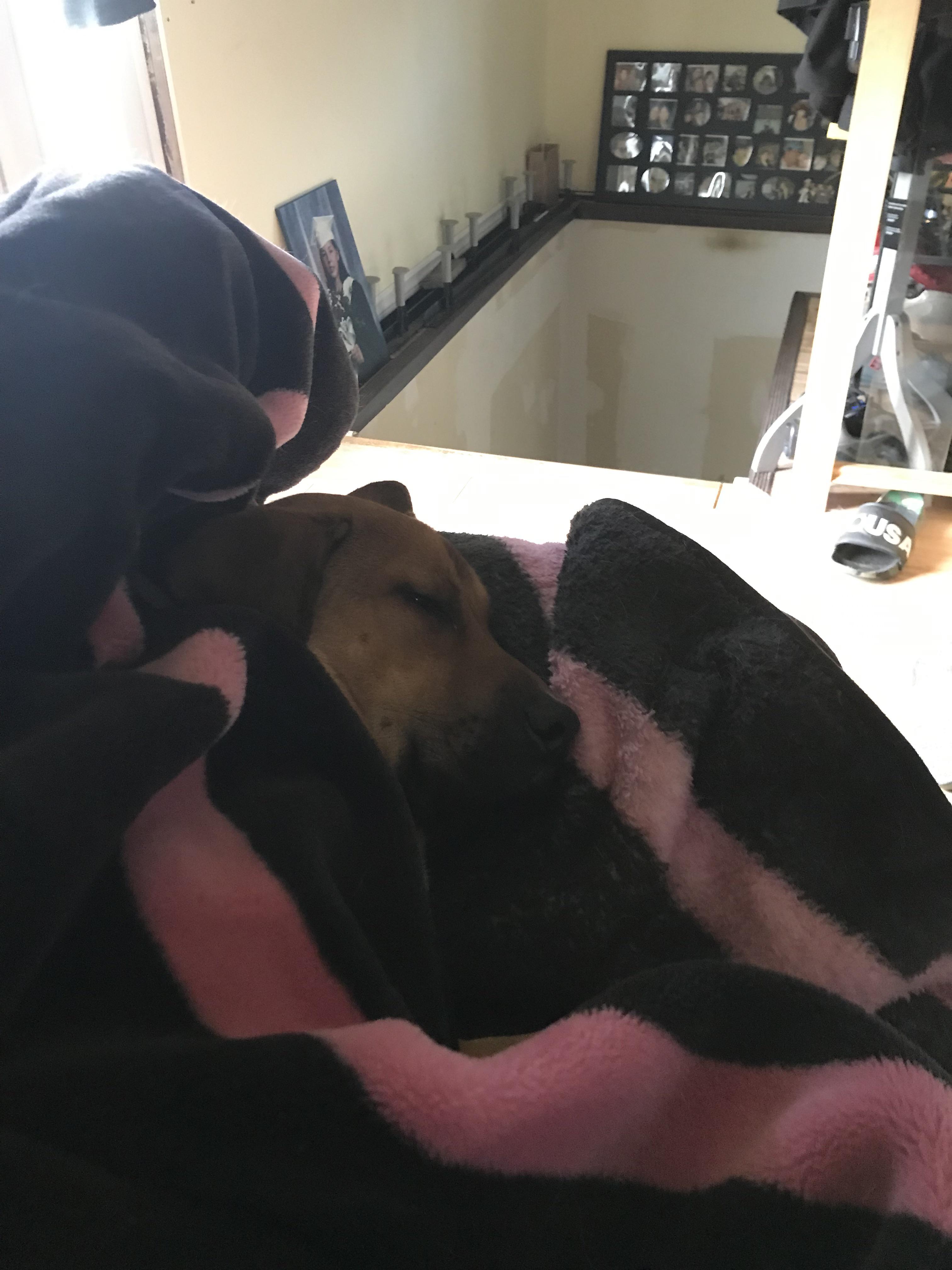 She’s sleeping | Scrolller