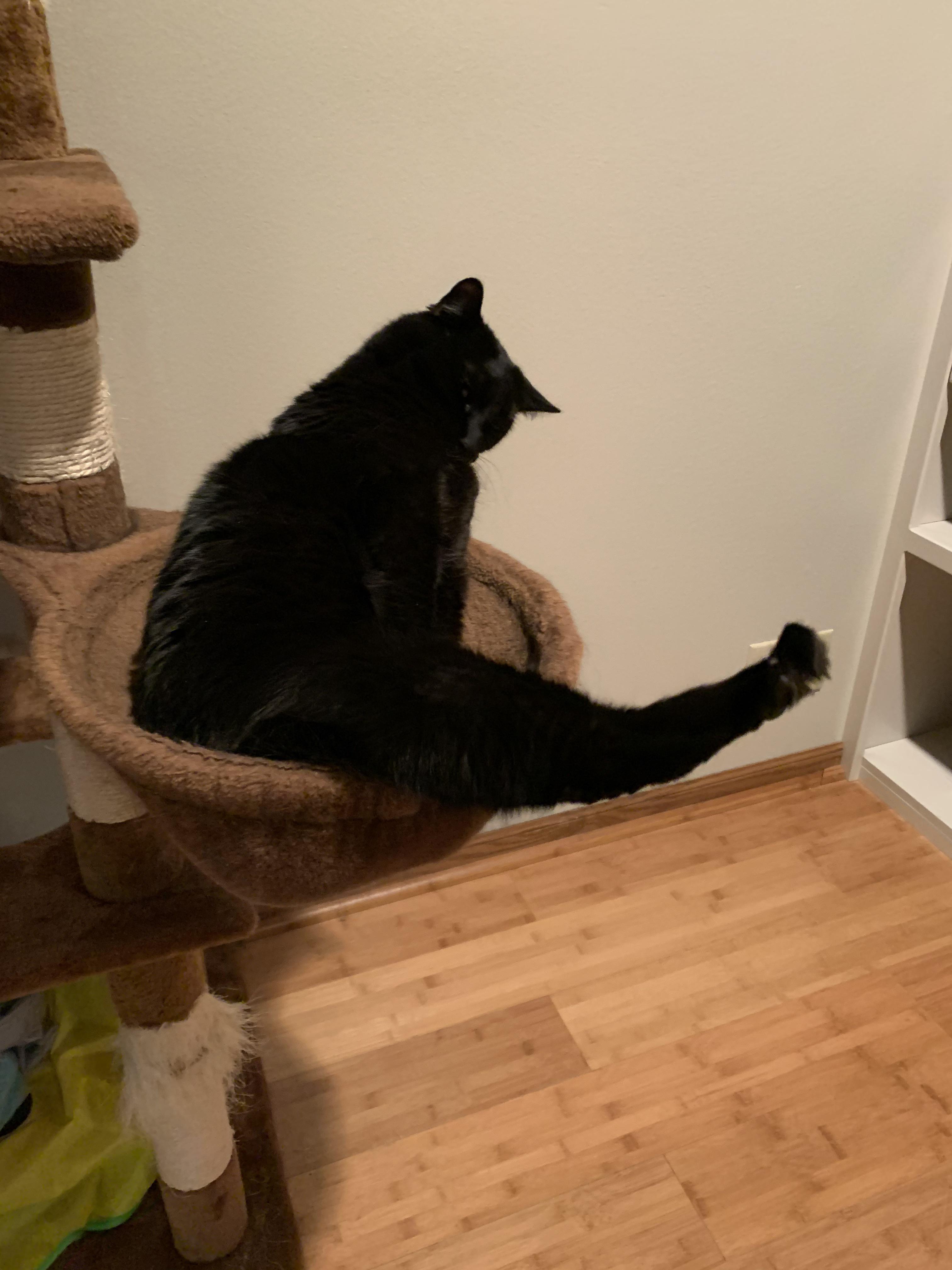 She’s so derpy | Scrolller