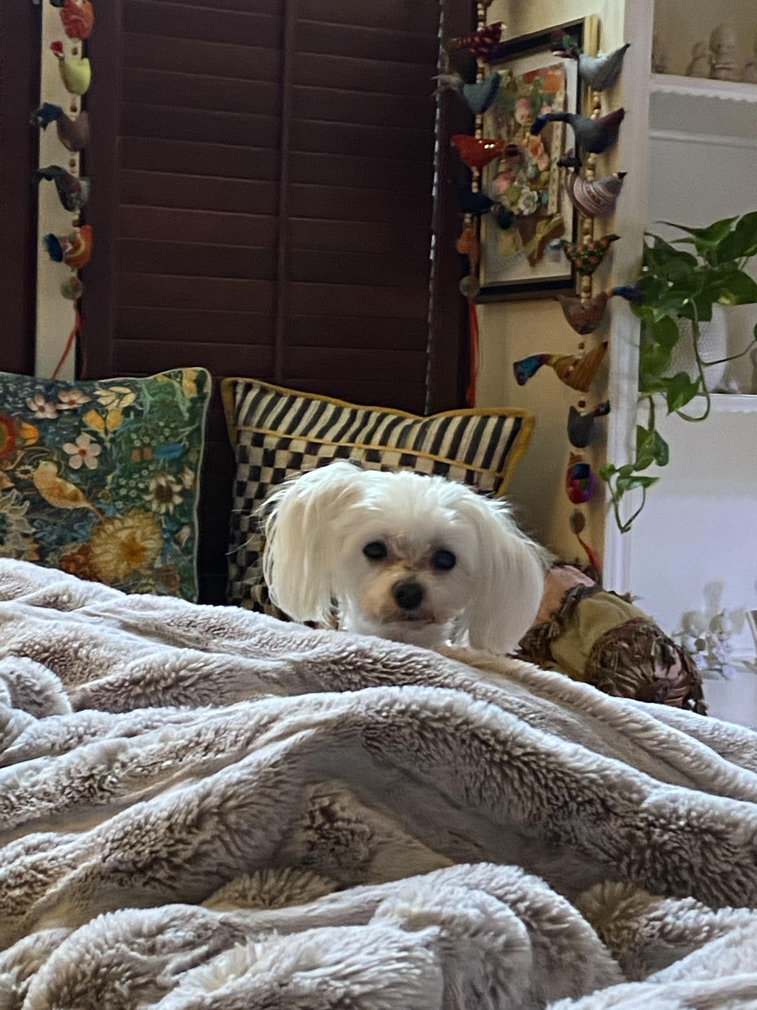 She’s still wondering what I’m doing at home... | Scrolller