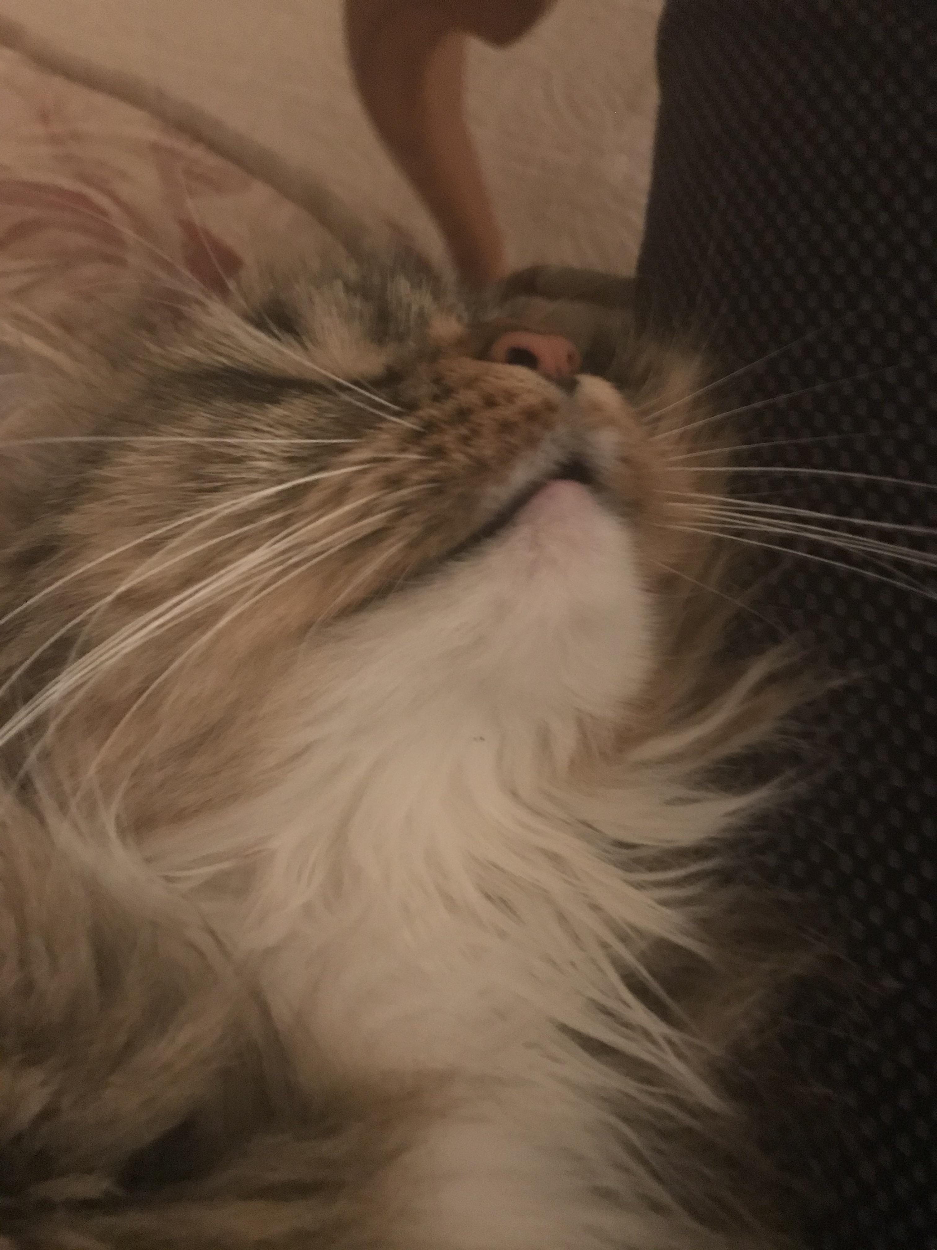 She sleep | Scrolller