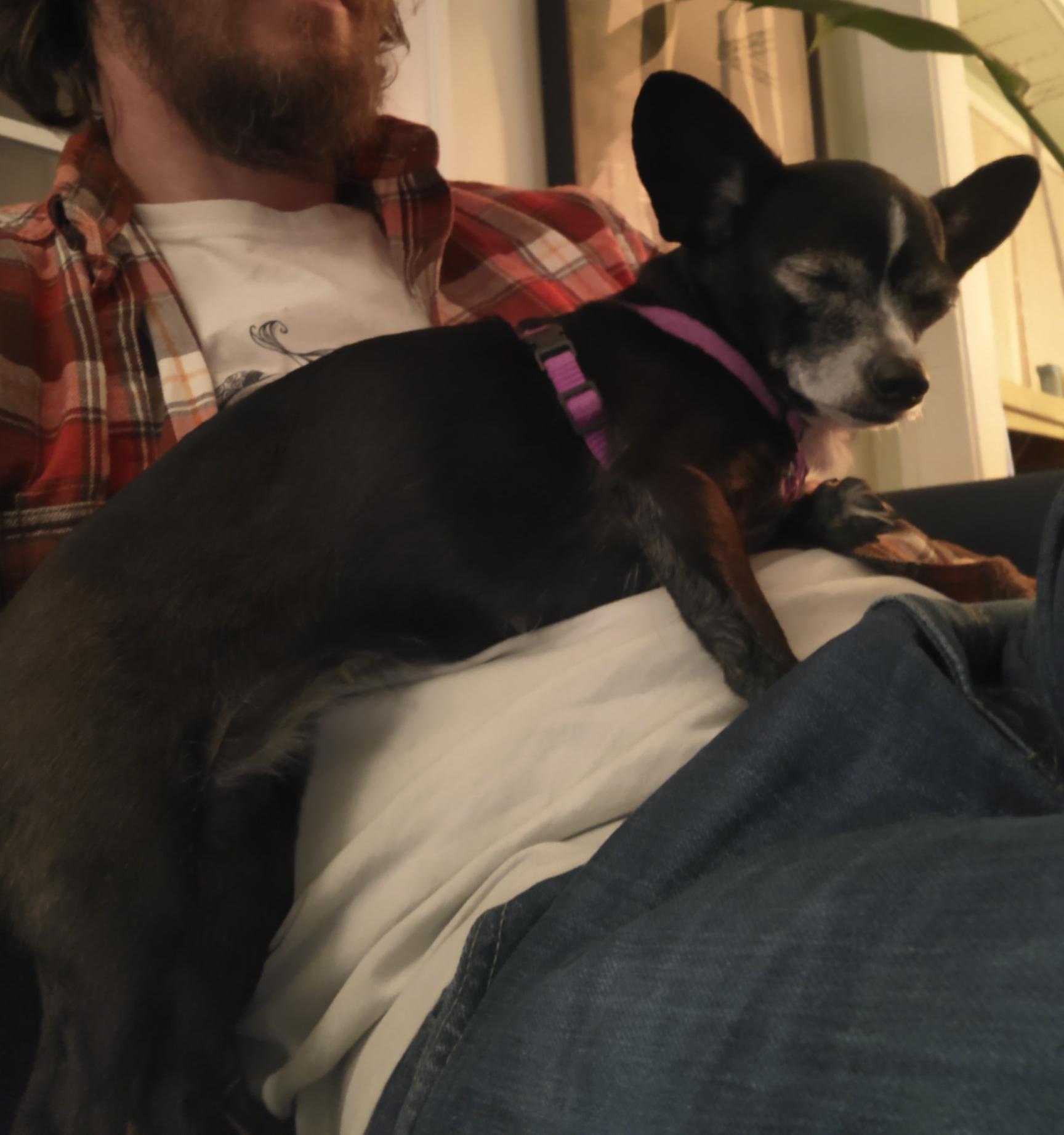 She sleeps like this all the time because I won't let her sit in my lap | Scrolller