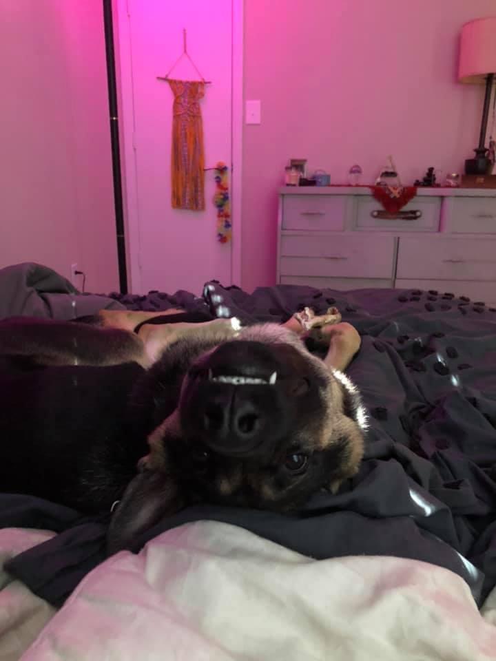 She think she a bat | Scrolller