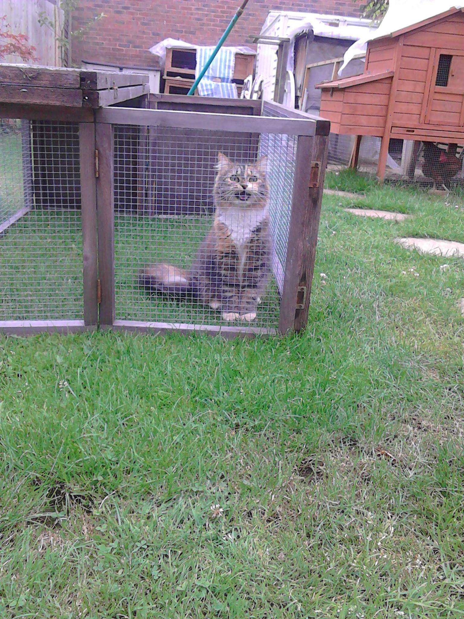 She thinks she's trapped... | Scrolller