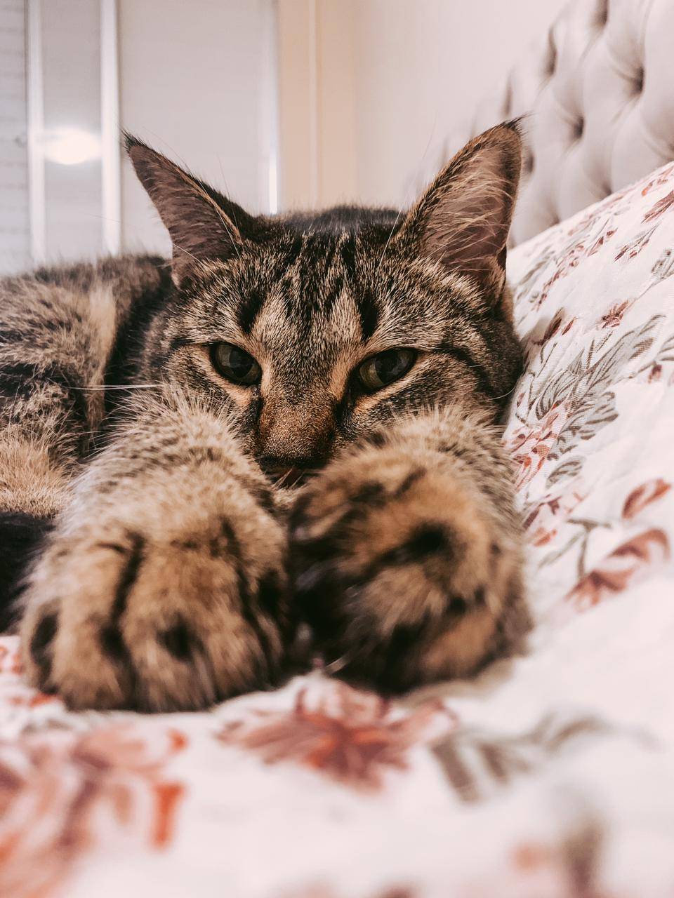 She uses seduction as a weapon. | Scrolller