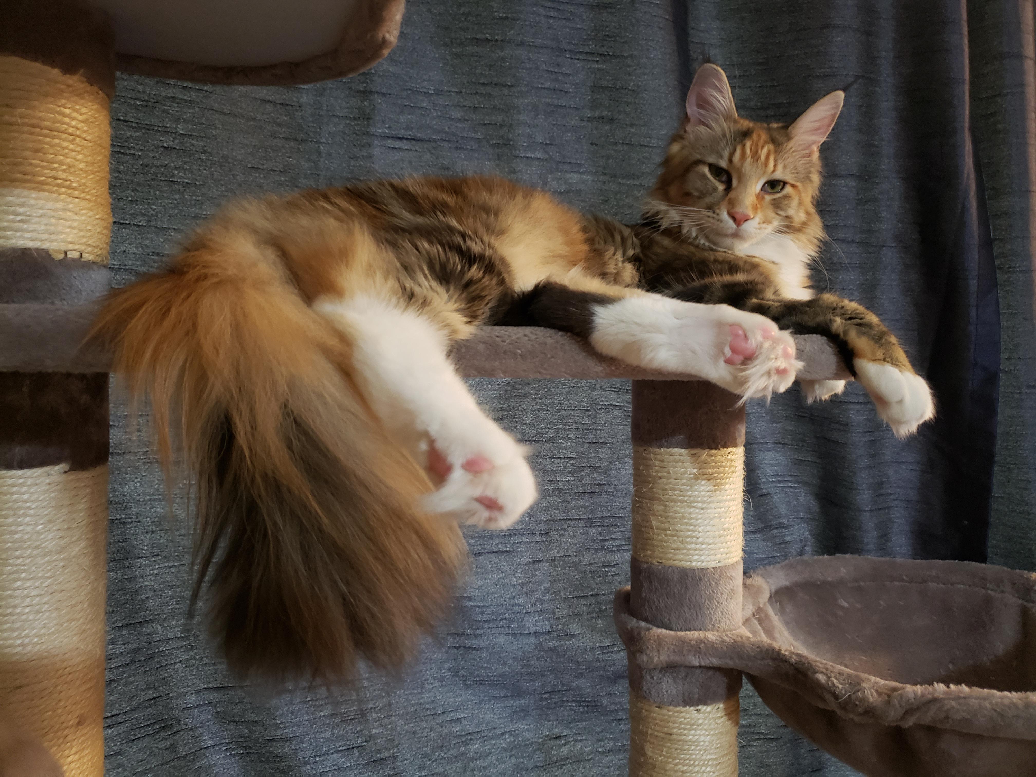 She wanted to show off her toe beans and tuffs. | Scrolller