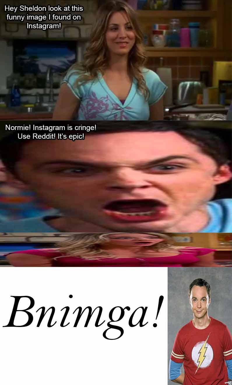 sheldnor OWNS cringe instagram normie! | Scrolller