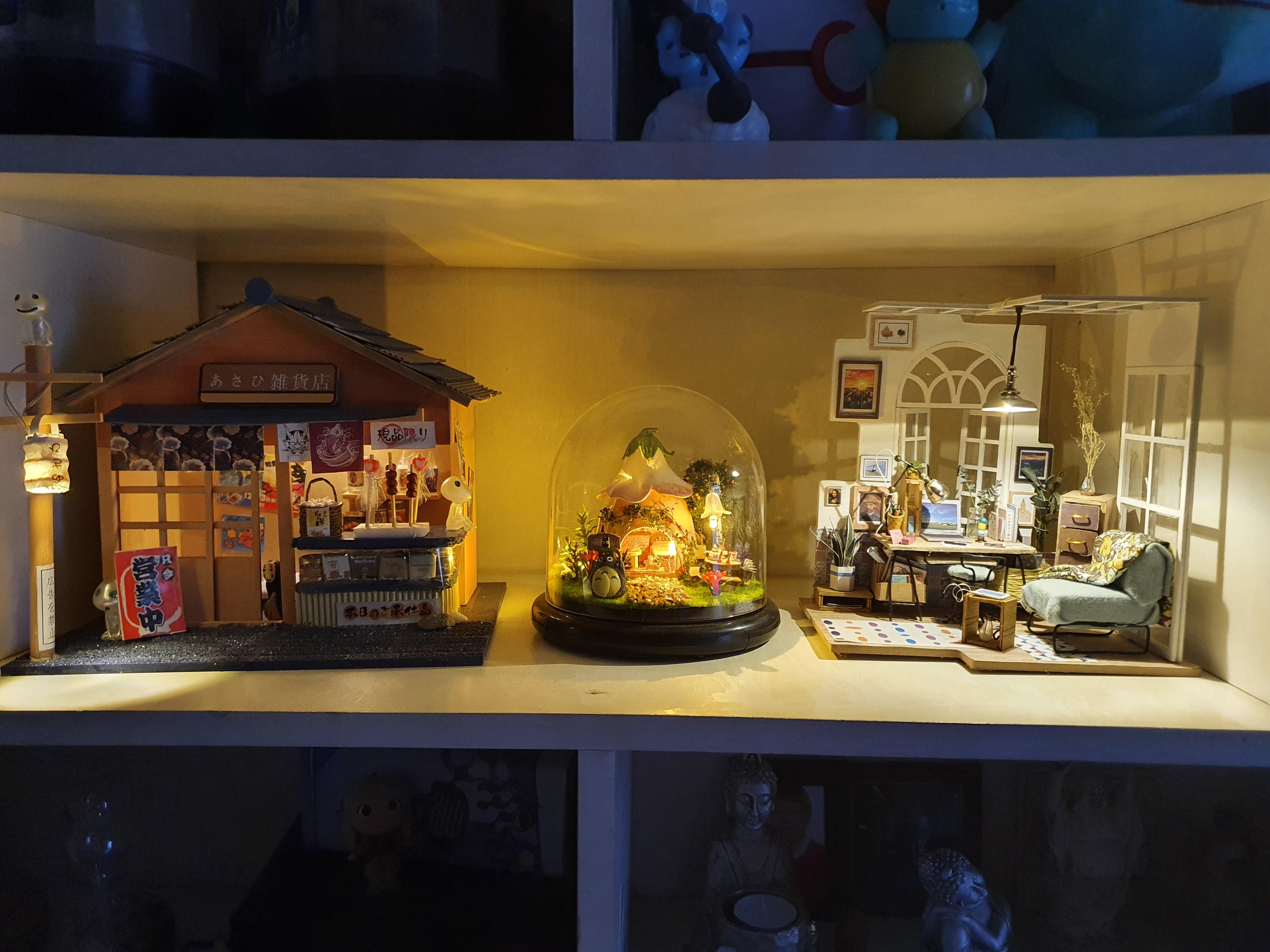 Shelf one complete | Scrolller