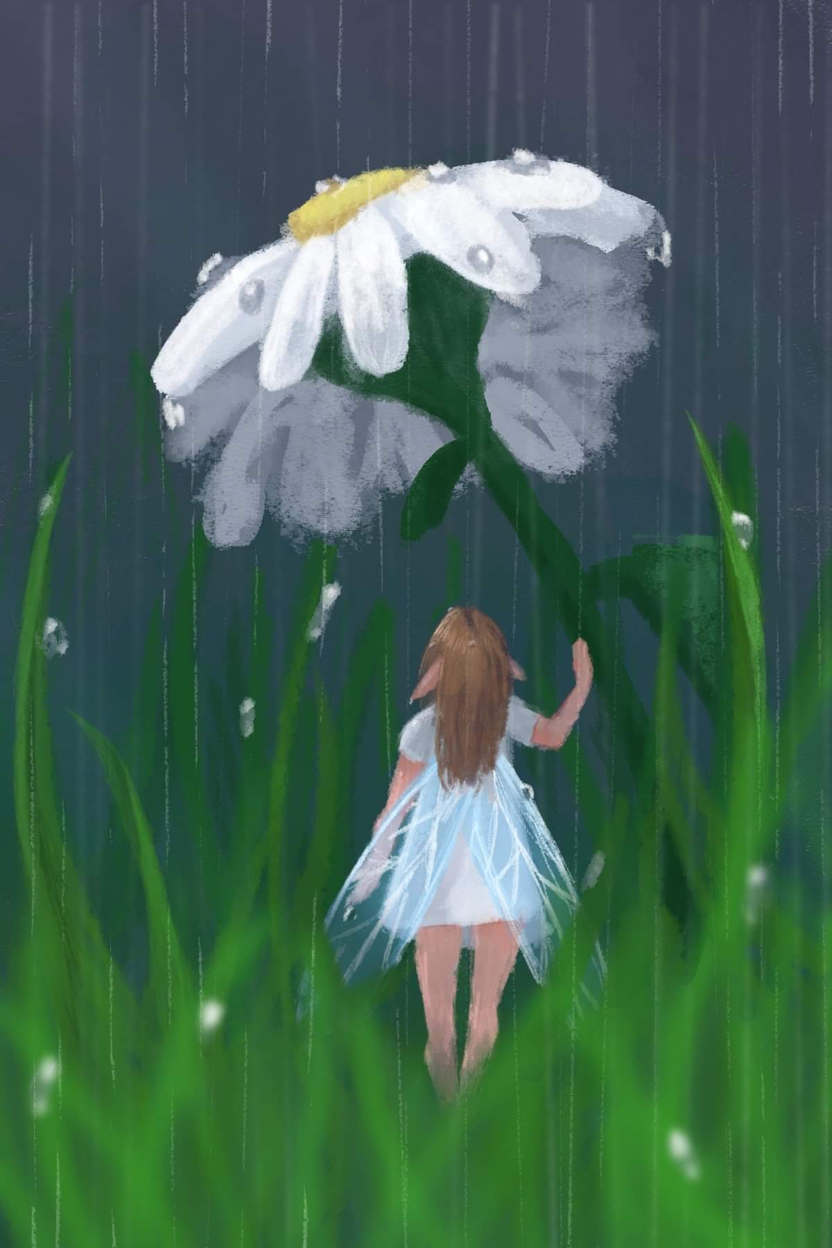 Shelter Me Digital 2021 Scrolller