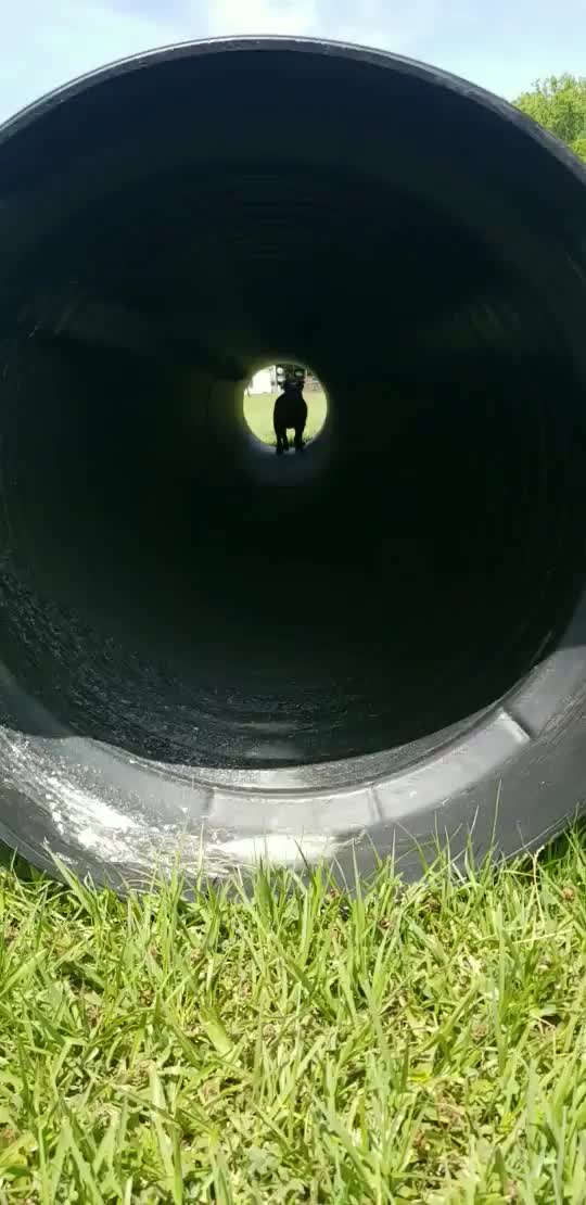 She's a little clumsy | Scrolller