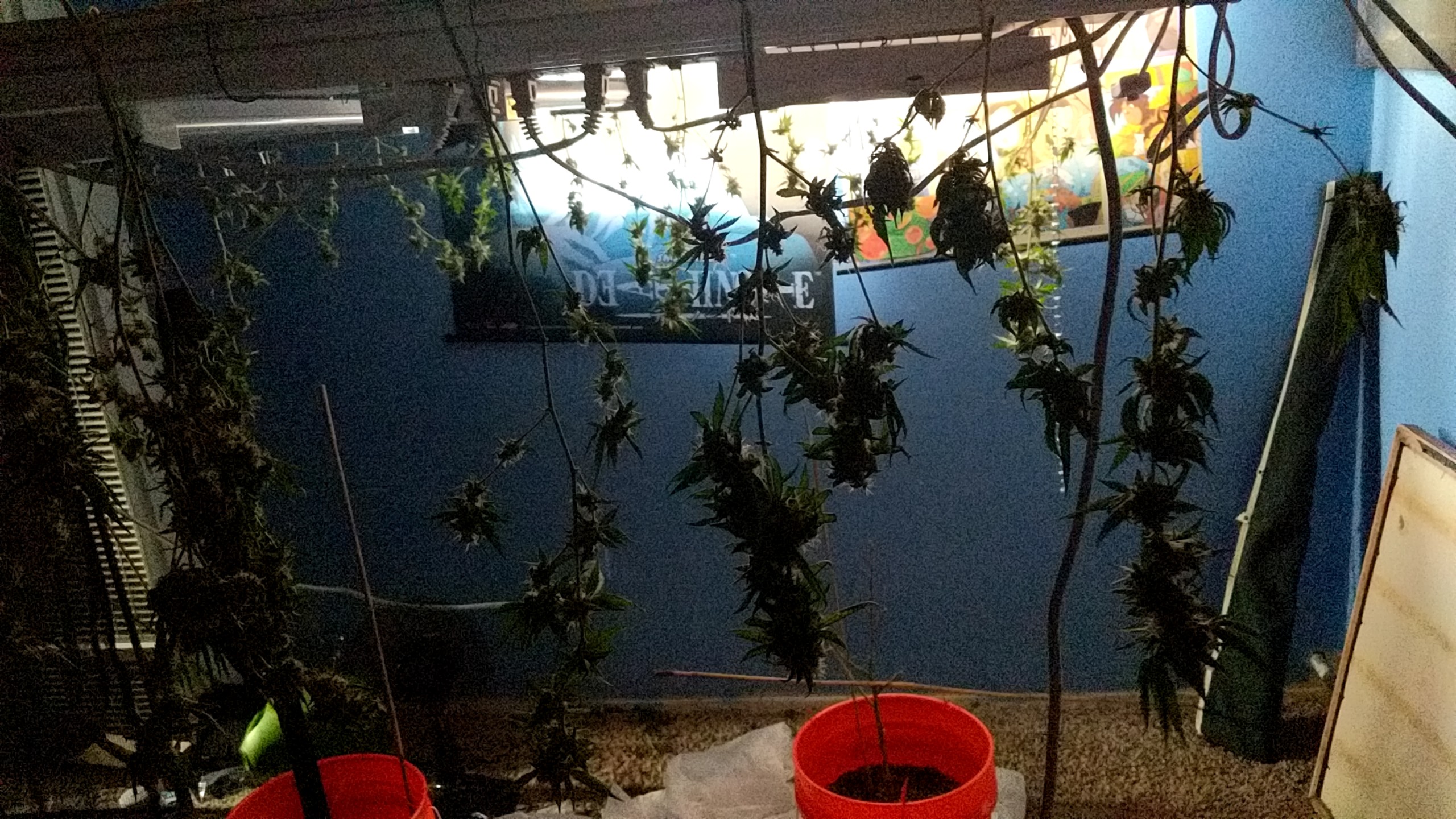 She's dead, Jim. | Scrolller