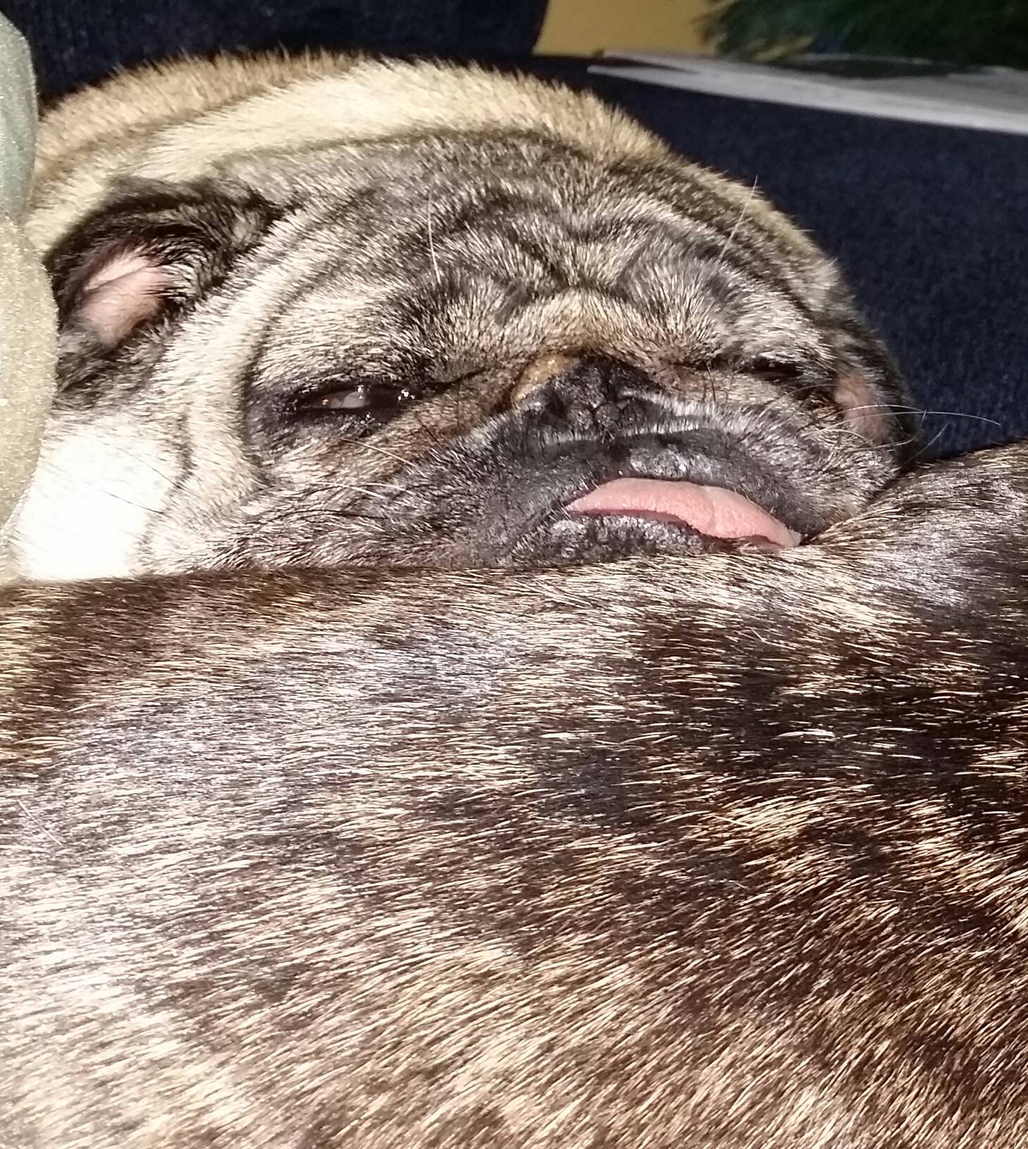 She's melting! | Scrolller