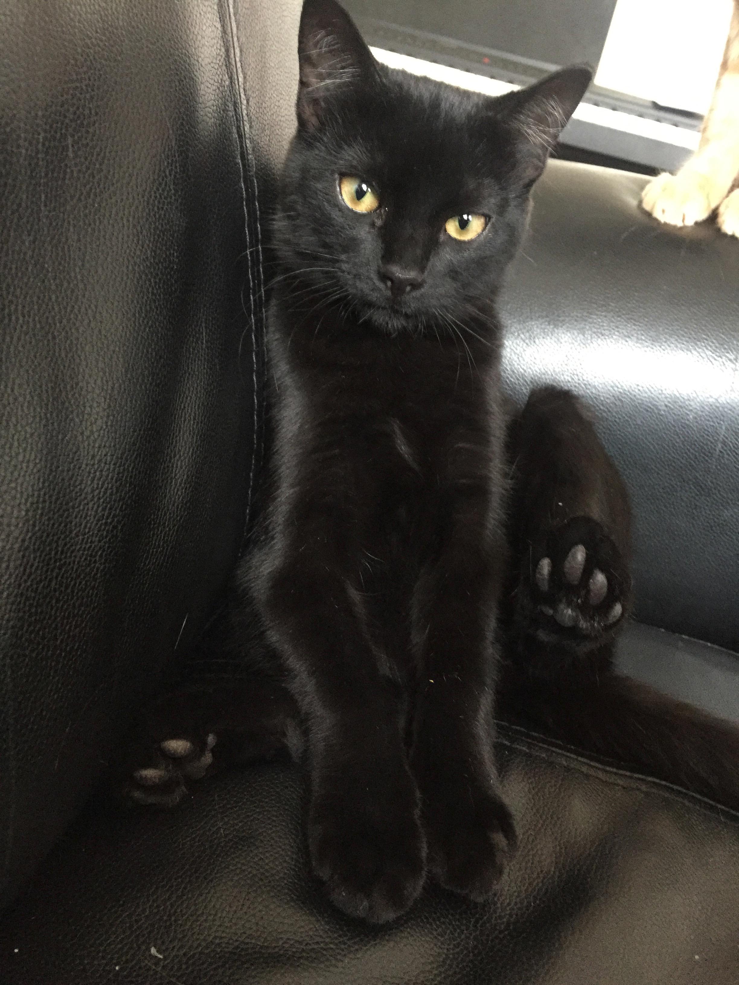 She's proud of her toe beans | Scrolller