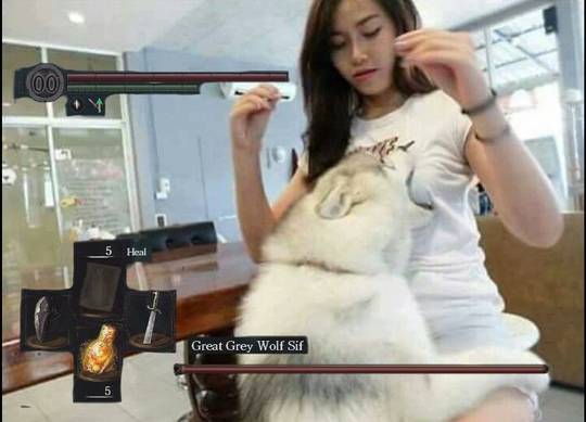 Shitpost | Scrolller