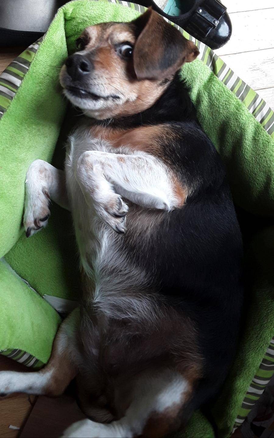 Shocking. | Scrolller