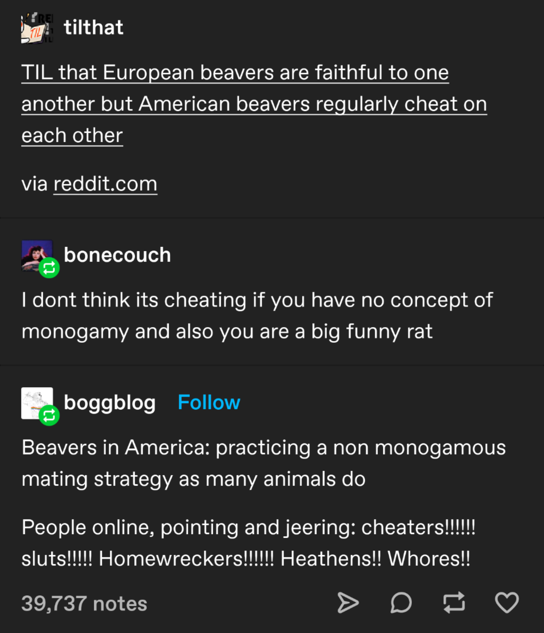 Shood Chuck | Scrolller