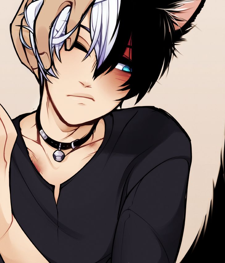[Shoto Todoroki - BNHA] Master's kitten | Scrolller