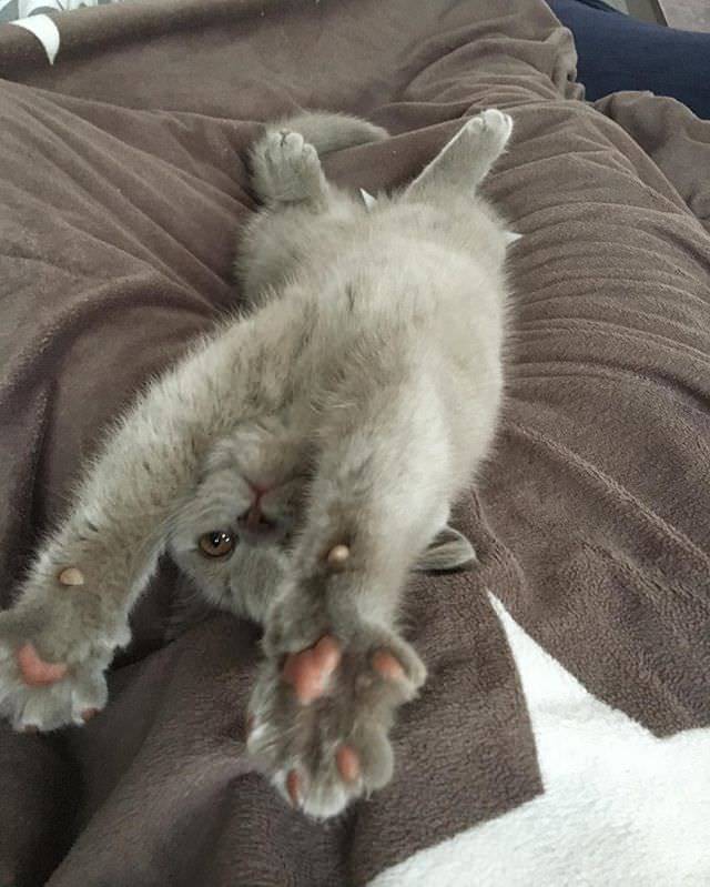 Showing off her baby beans | Scrolller