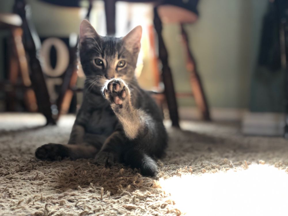 Showing off his toe beans | Scrolller