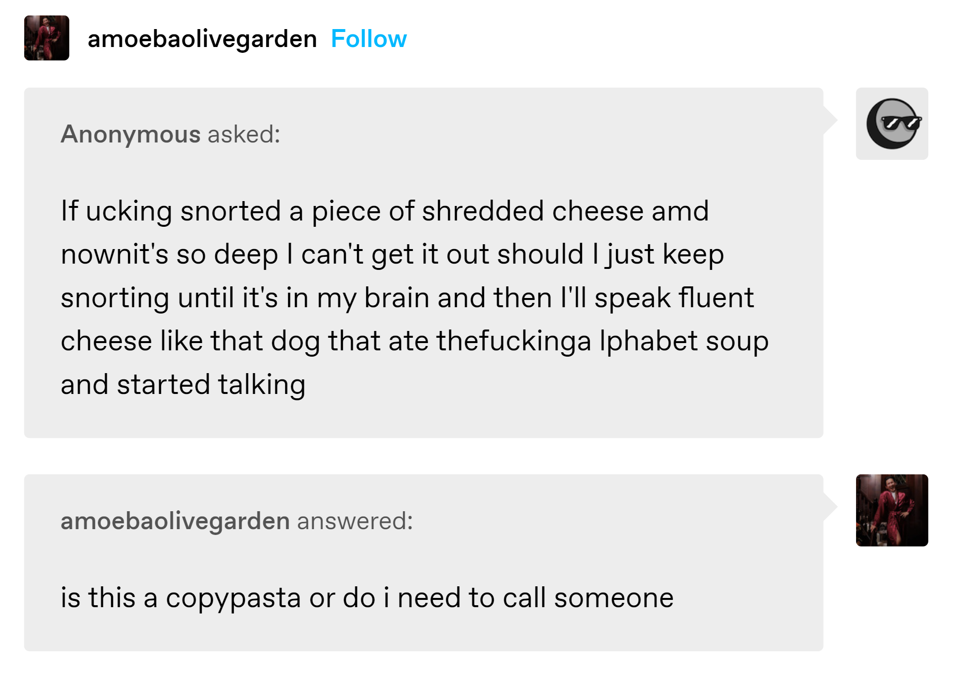 Shredded Cheese | Scrolller