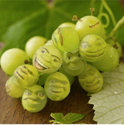 Shrek Grapes. | Scrolller
