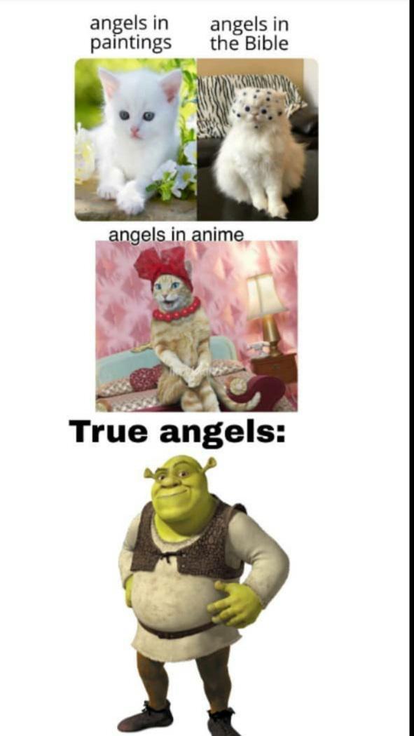 Shrek is my saviour | Scrolller