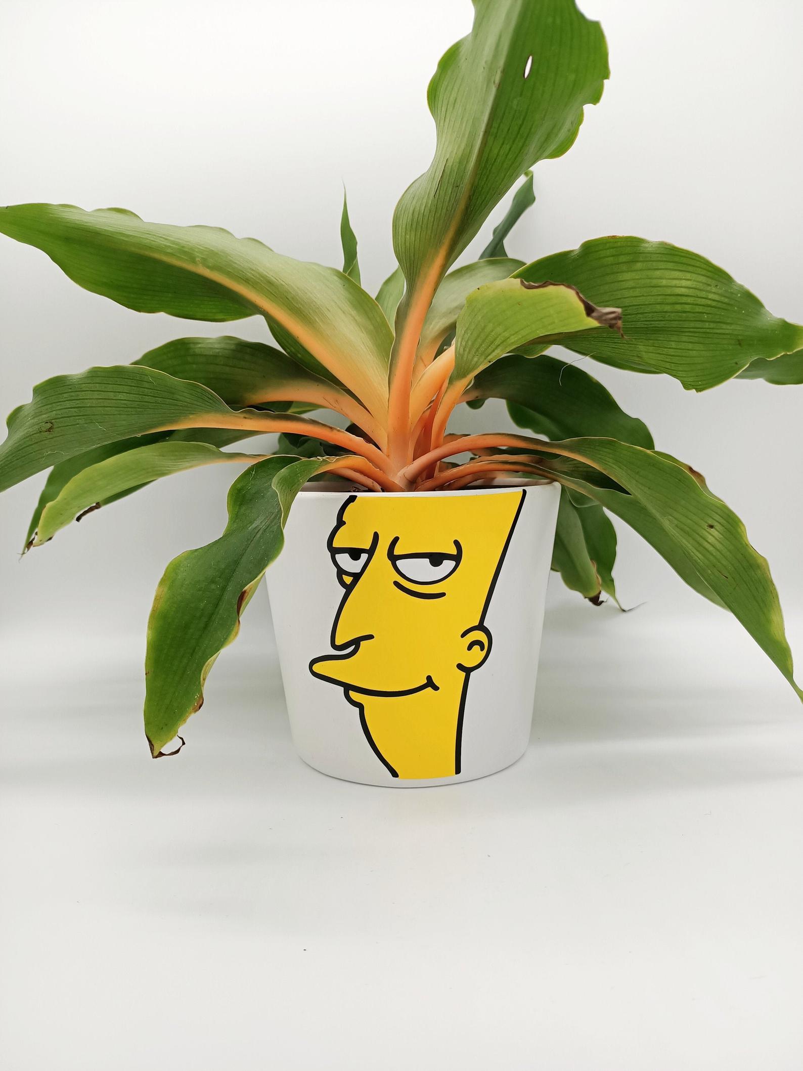 Sideshow Bob planter always watching and plotting your downfall | Scrolller