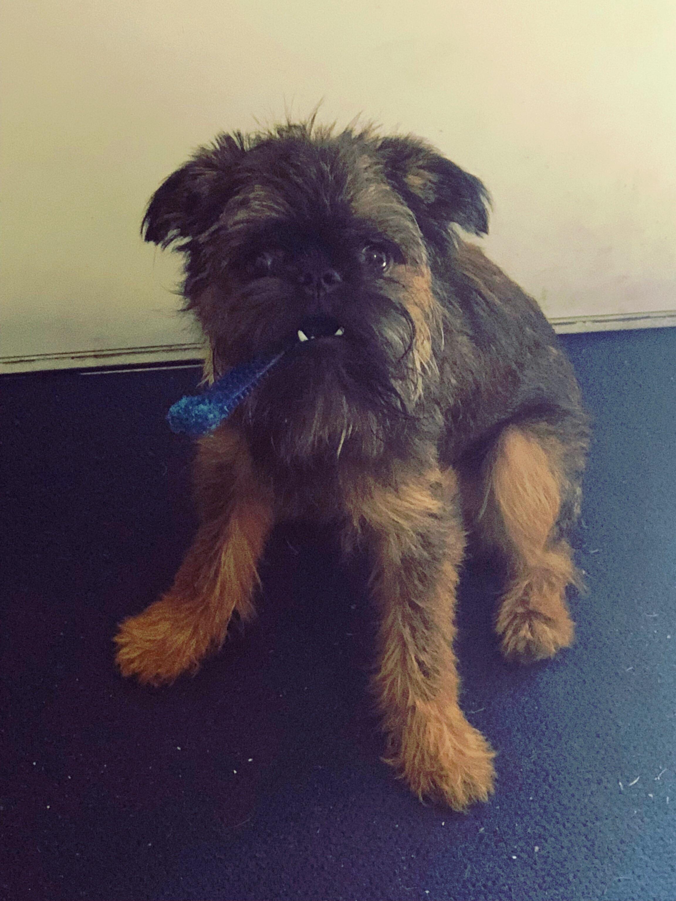 Silly boy | Scrolller