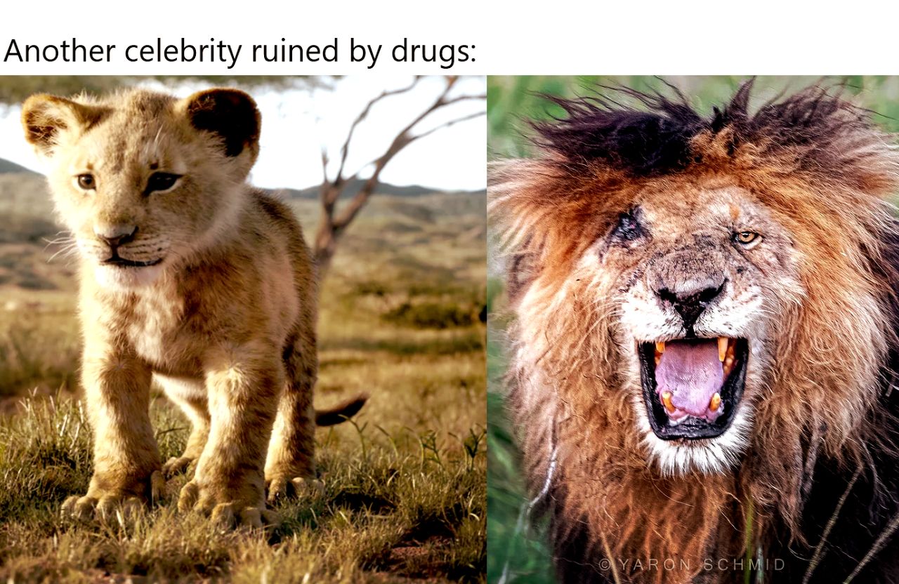 Simba got addicted to meth at 14 | Scrolller