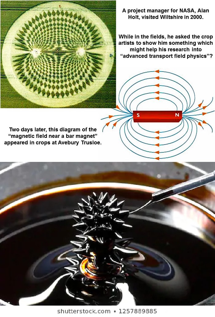 Similarities between this crop circle depiction of a magnetic field and the magnetic reaction of ...