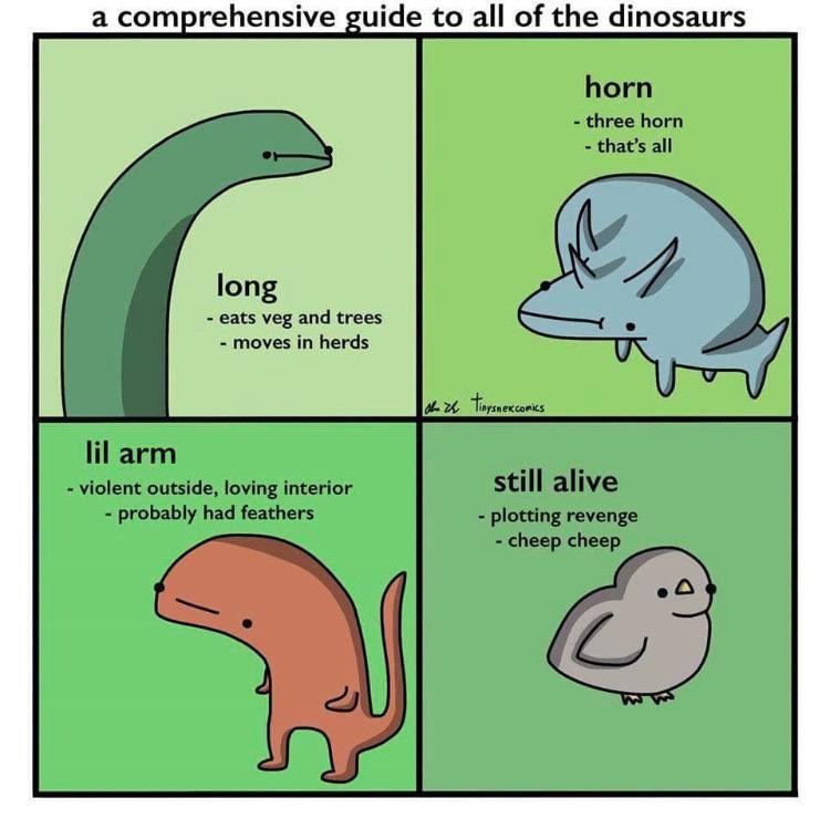 Simple guide to dinosaurs | Scrolller