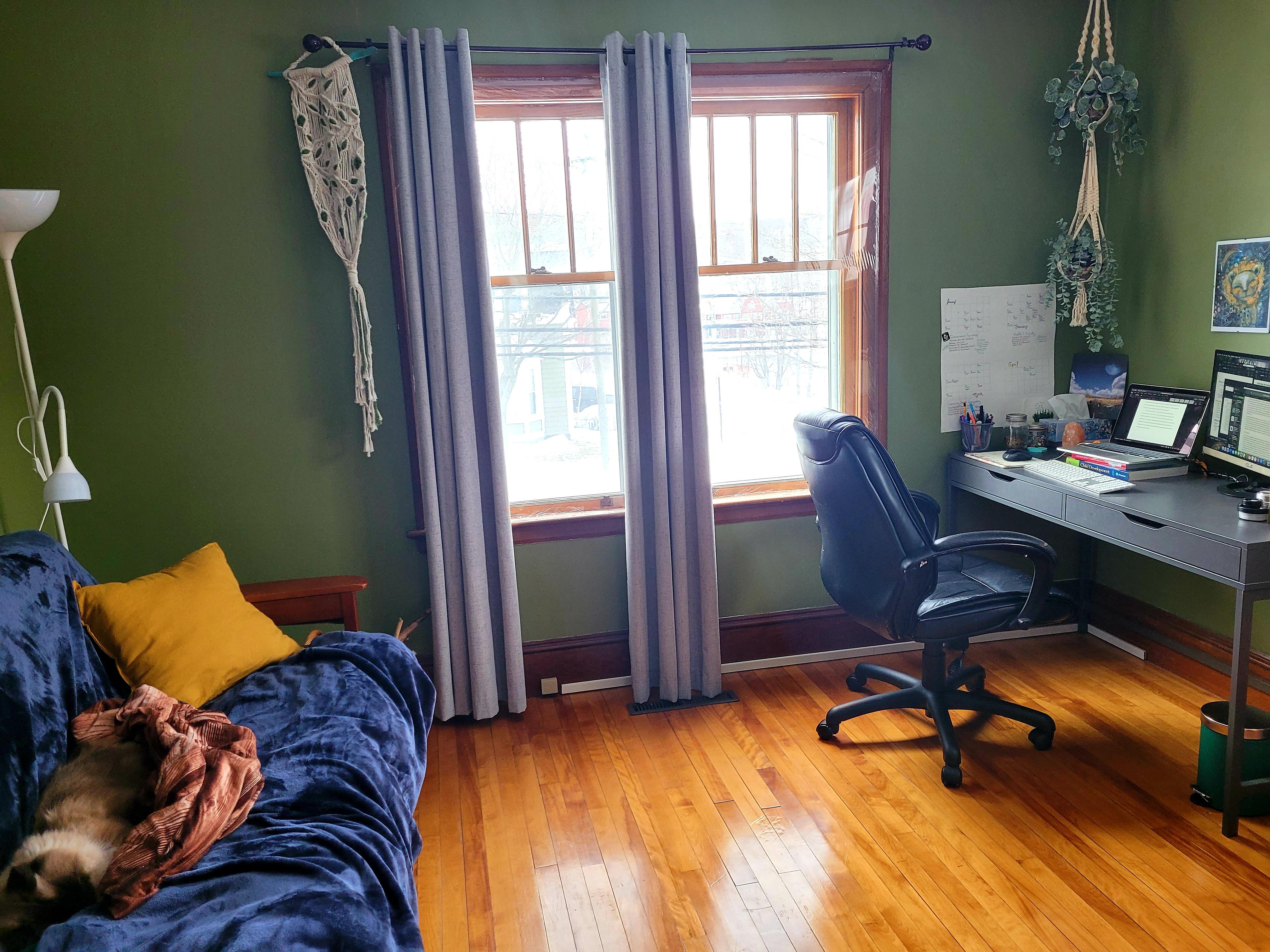 Simple study room, featuring very cozy cat | Scrolller