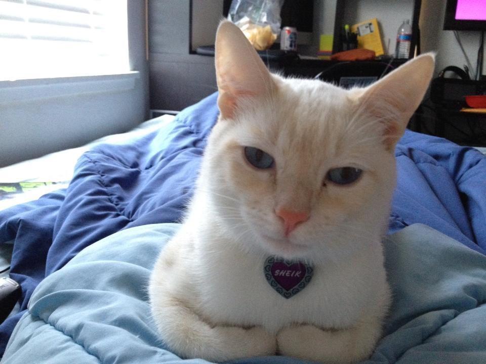 Sir we need to talk | Scrolller