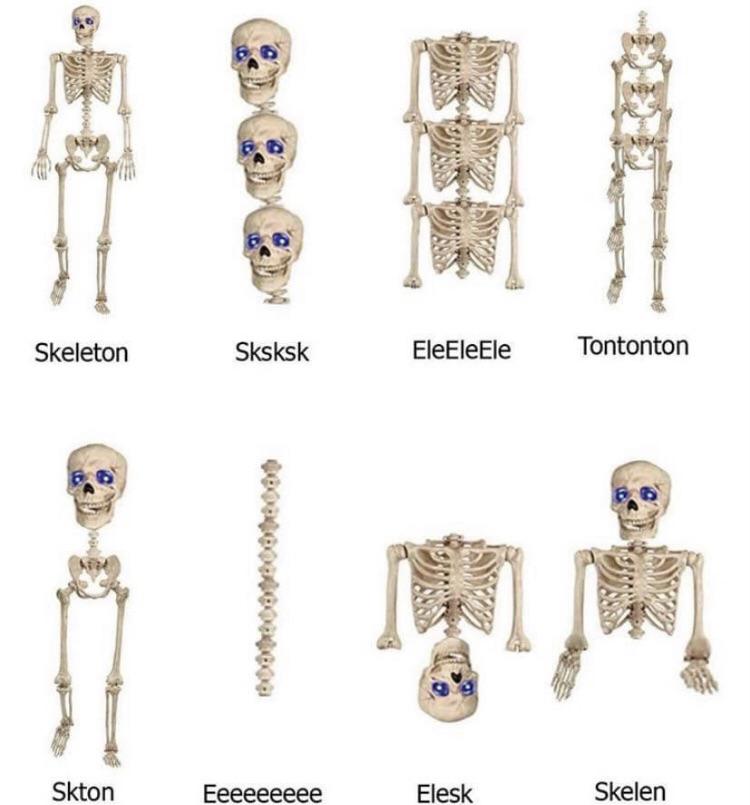 Skeleton | Scrolller