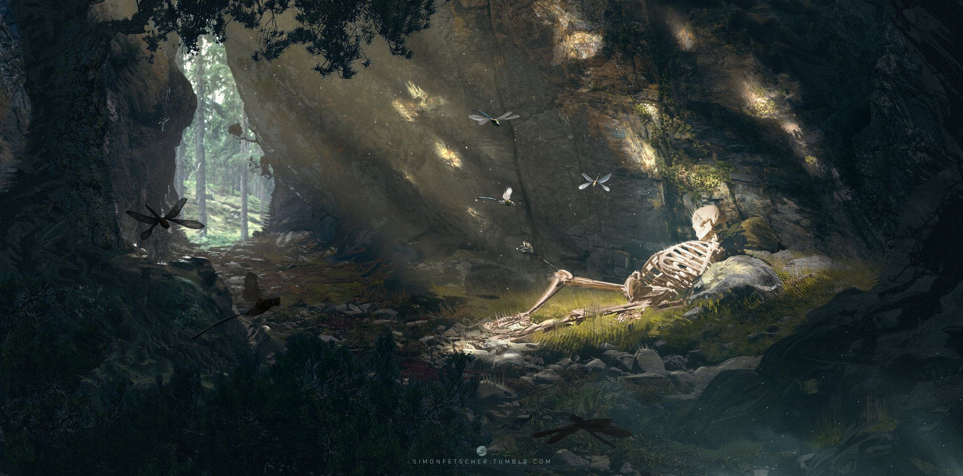 Skeleton Cave, by Simon Fetscher | Scrolller