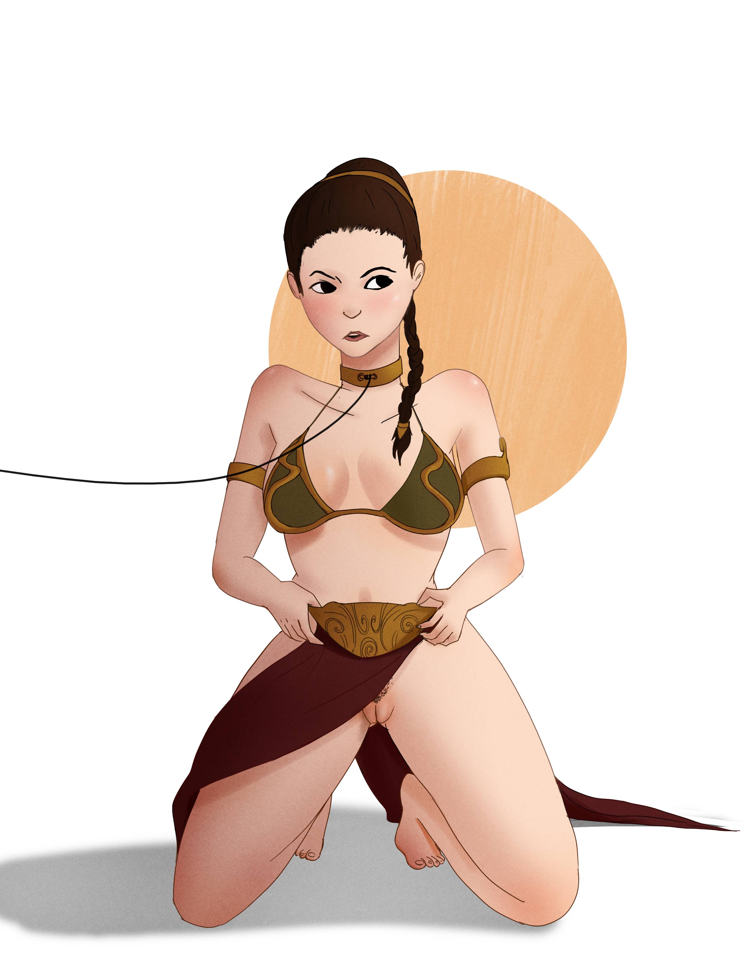 Slave Leia flashing | Scrolller