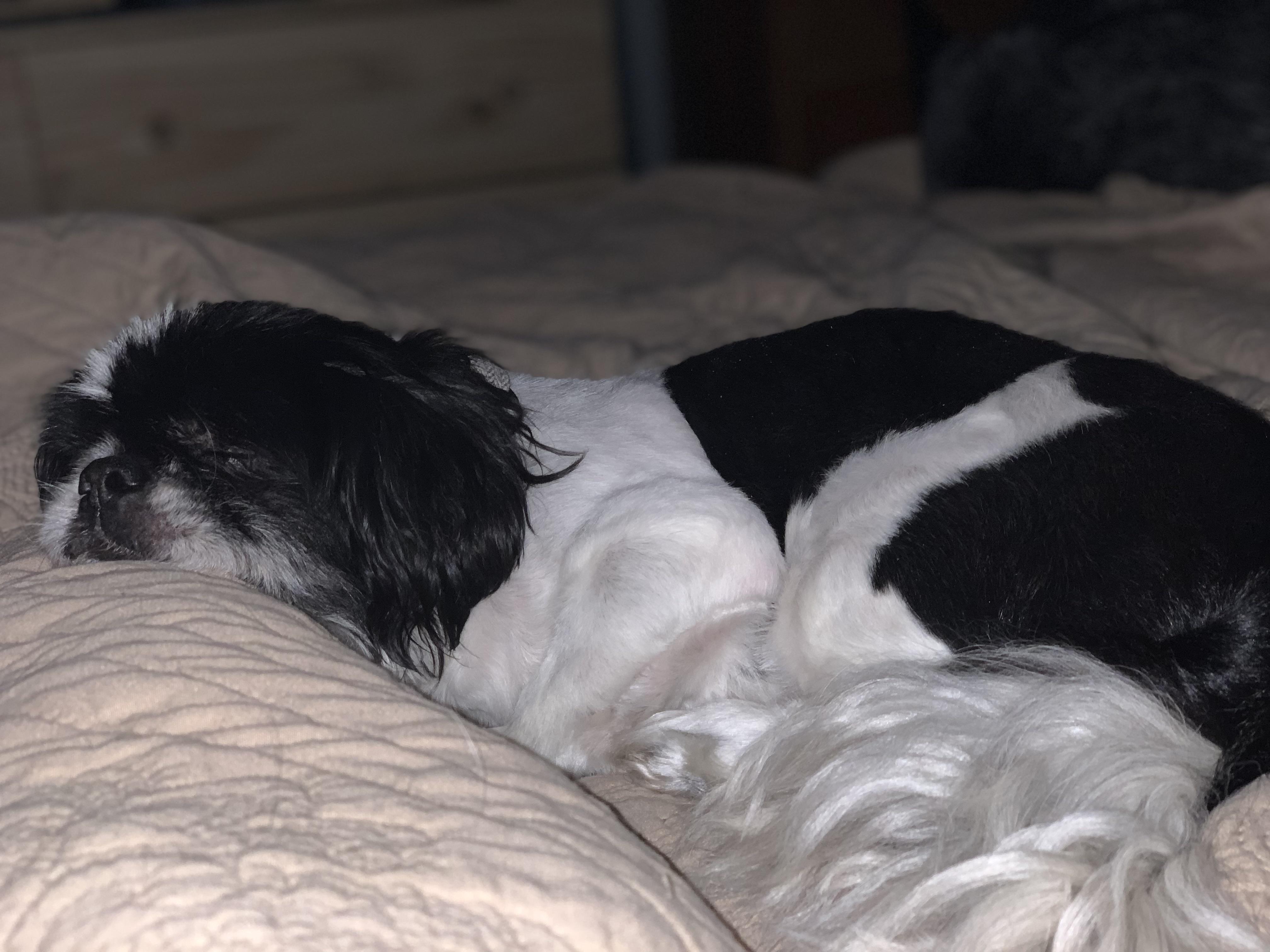 Sleeping During a Storm | Scrolller