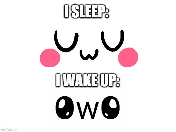 sleeping_irl | Scrolller