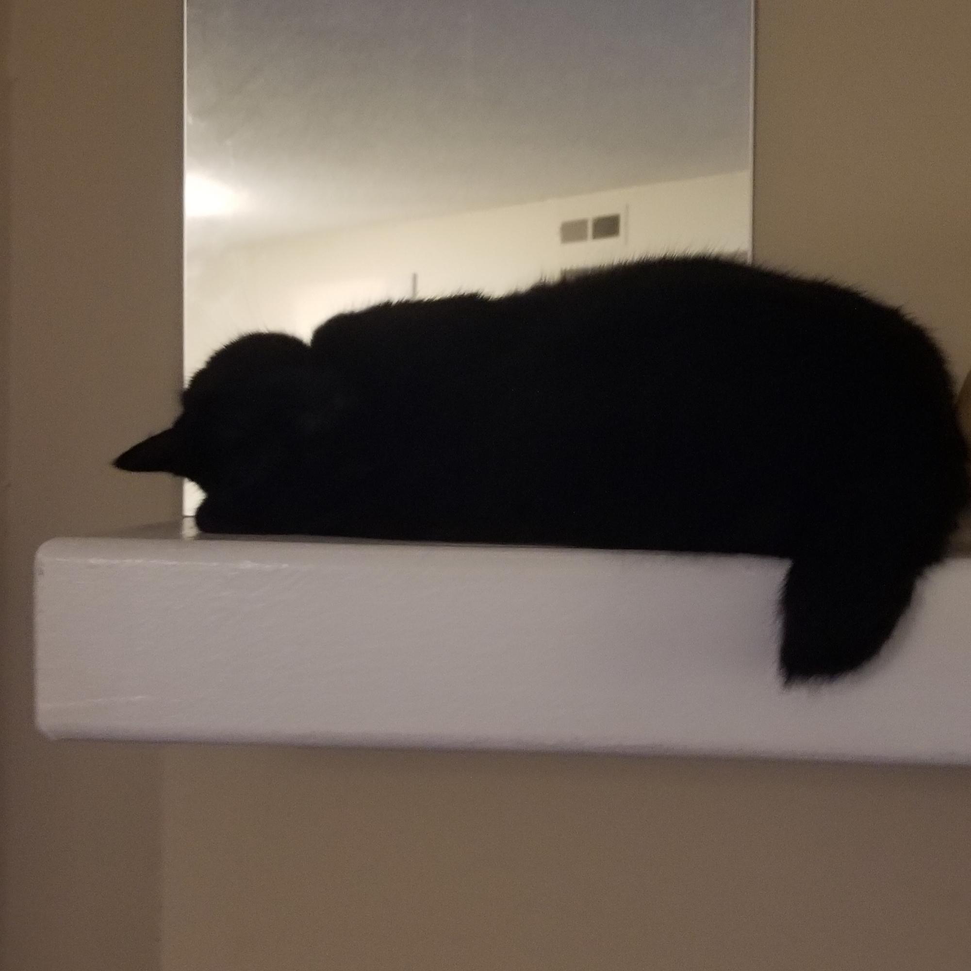 Sleeping void | Scrolller