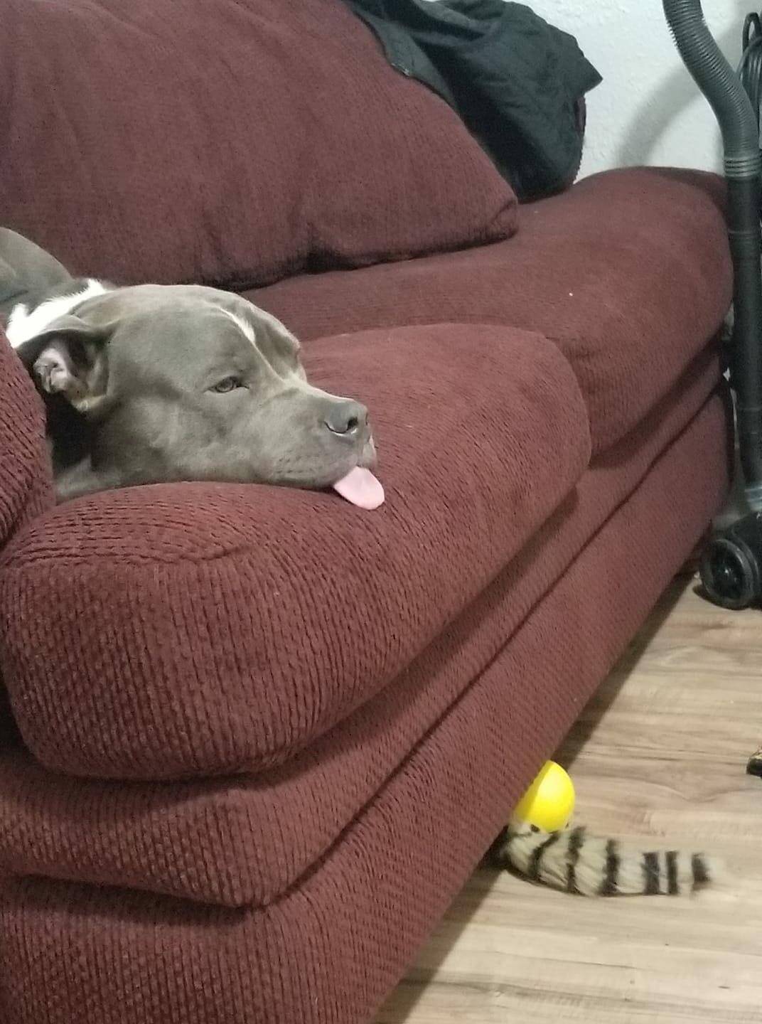 Sleepy blop | Scrolller