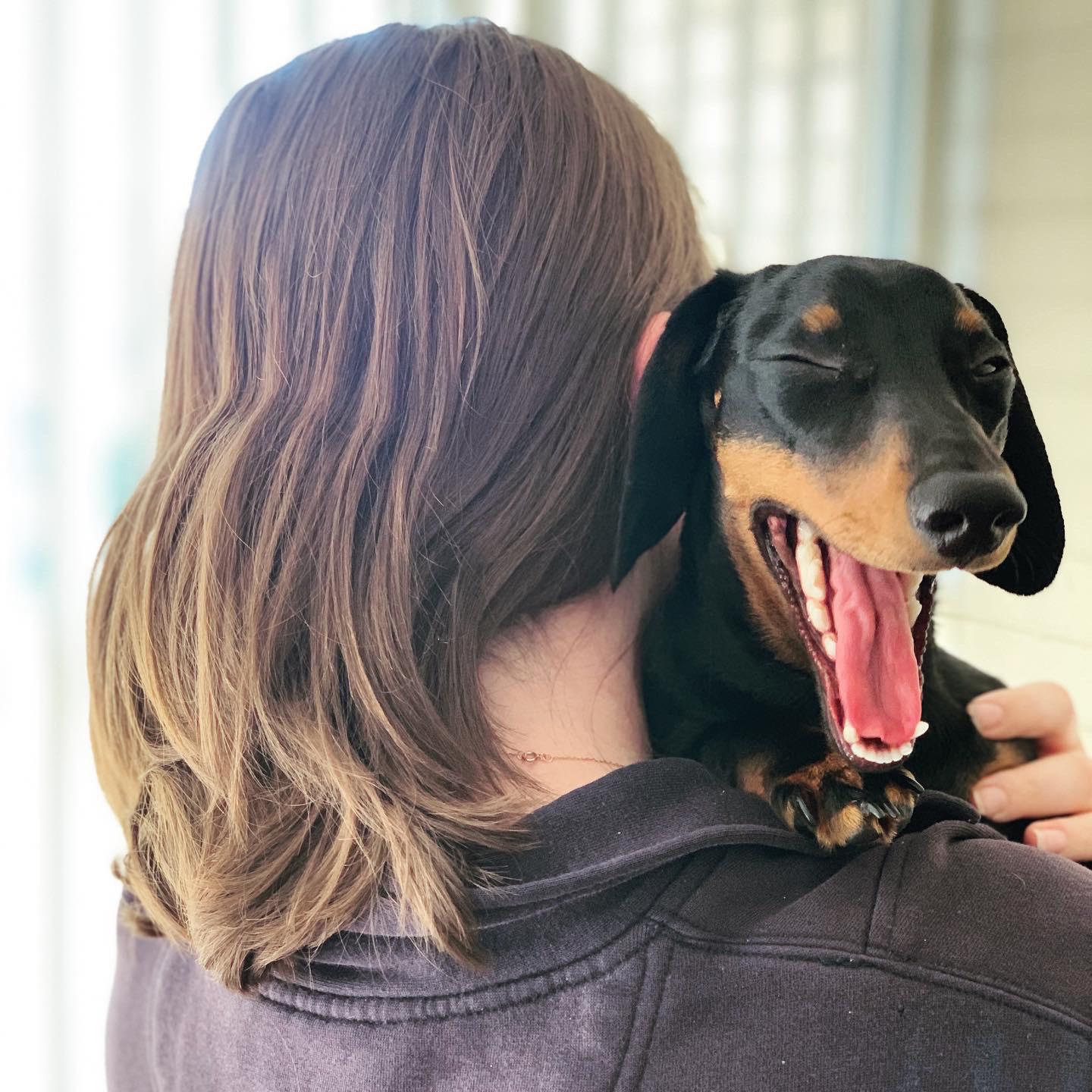 Sleepy boi | Scrolller